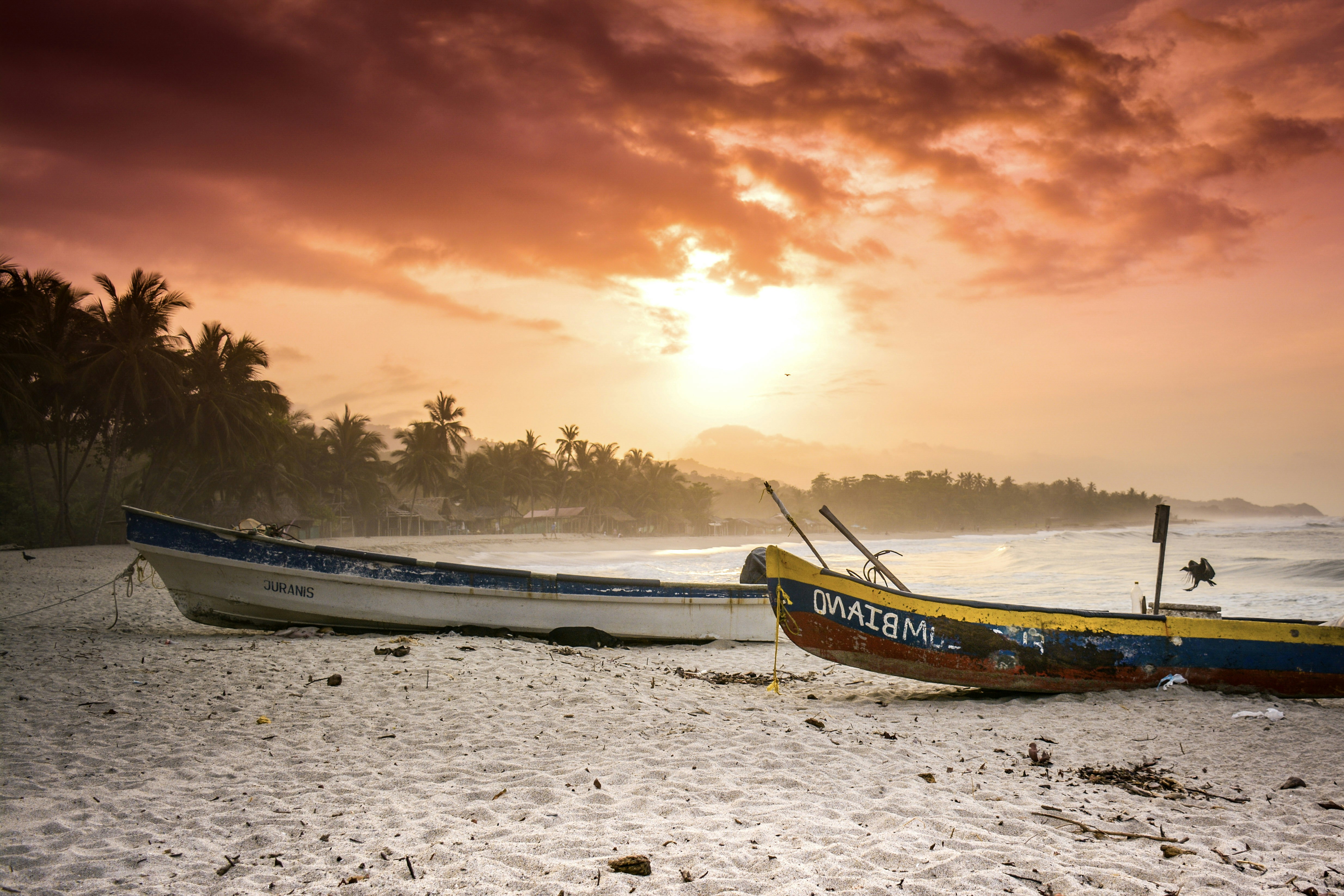 Golden Dusk by the Shore