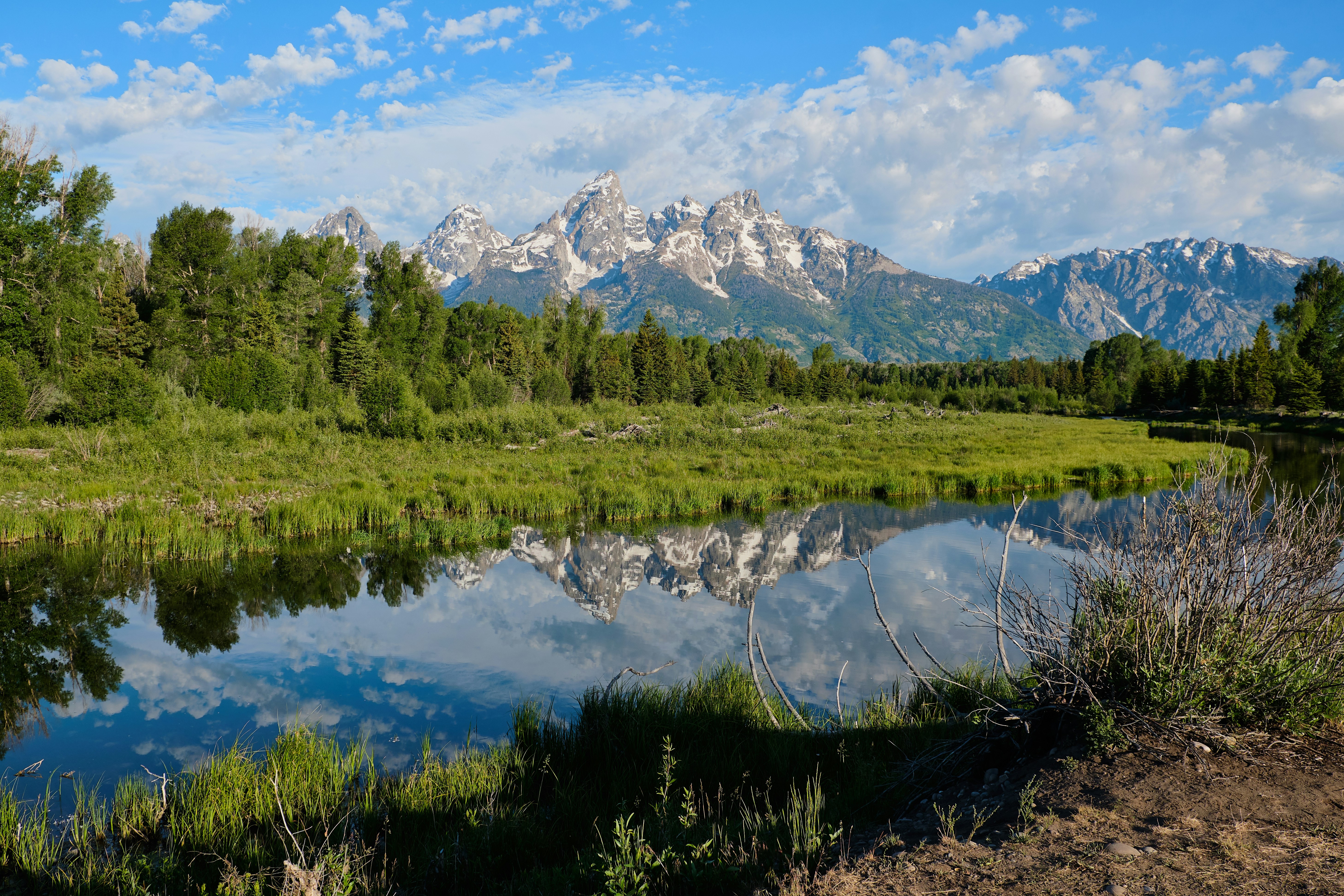Body of water between trees during daytime photo – Free Green Image on ...