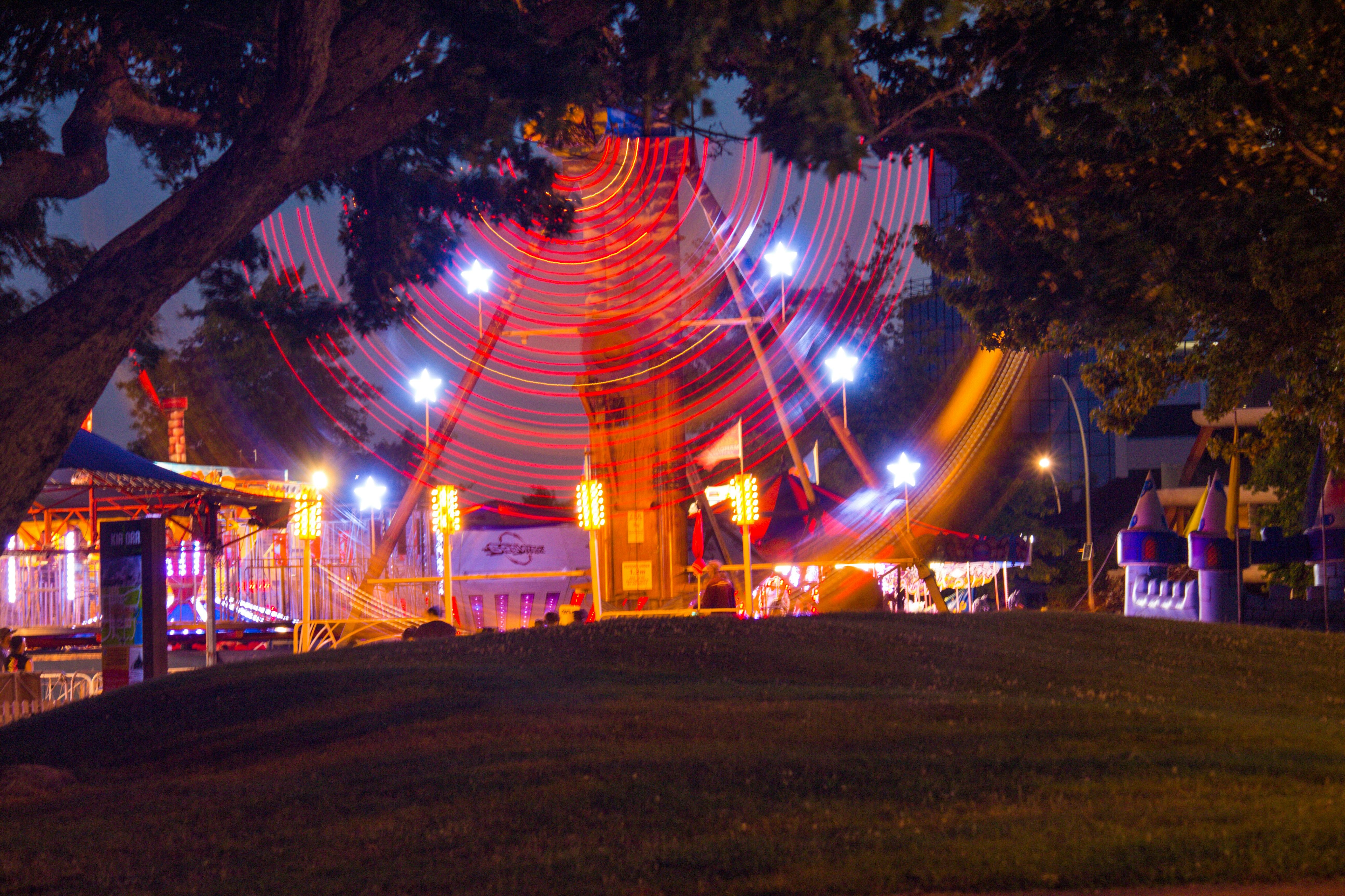 Circles of Neon: A Night at the Carnival Under Blooming Lights