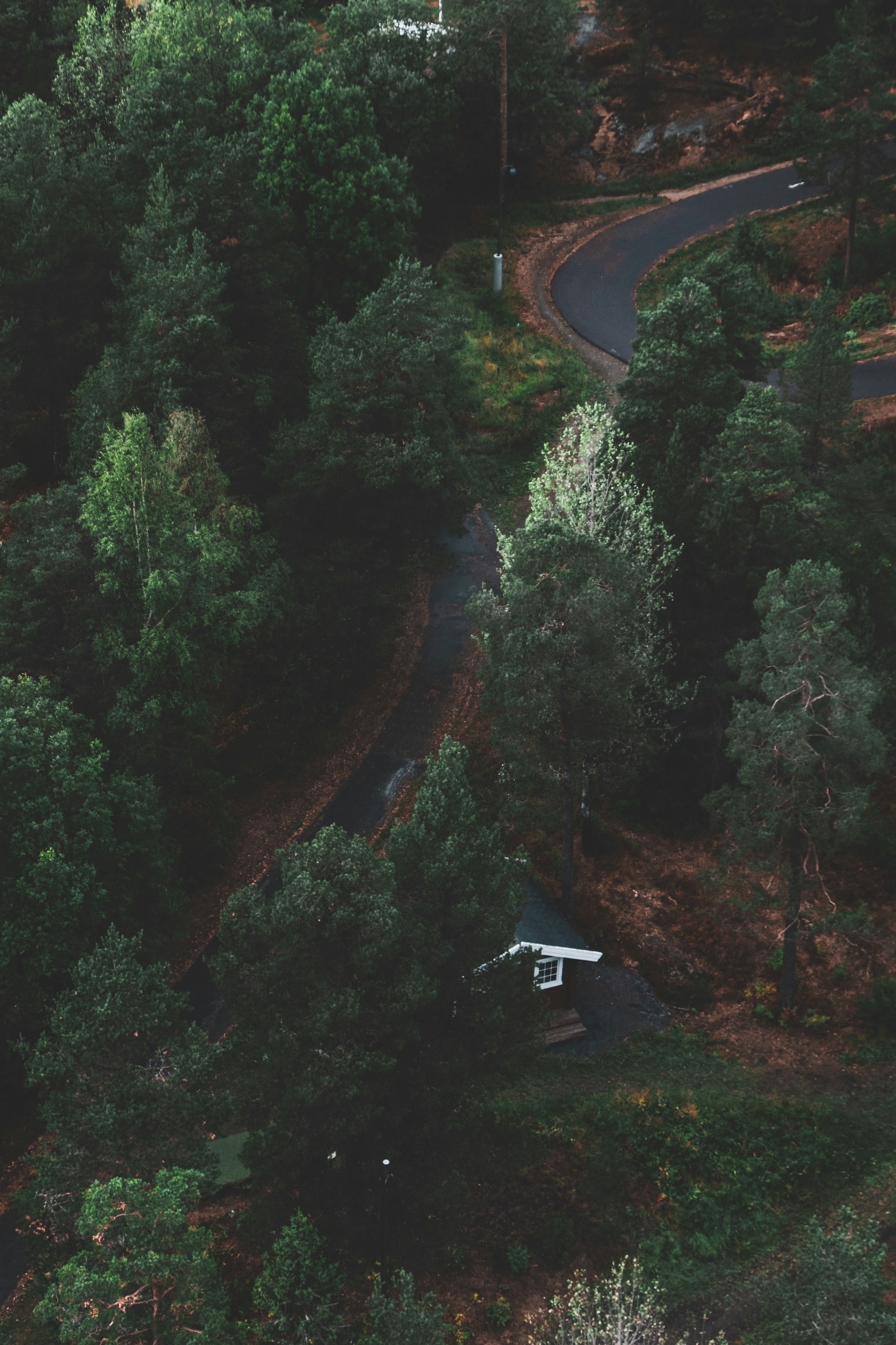Curved road meanders through dense greenery, revealing a small cabin nestled among the trees.