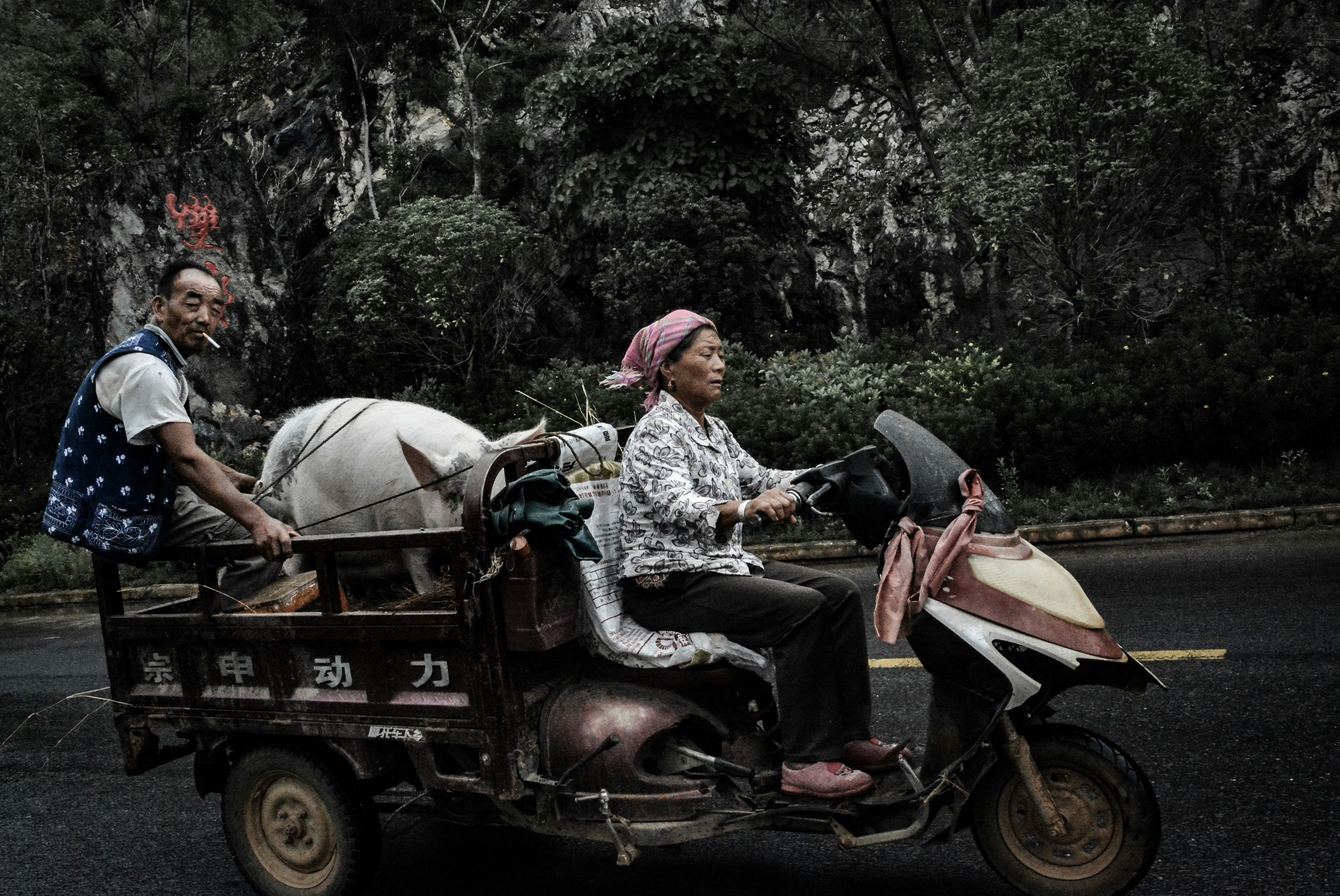 Woman riding on auto rickshaw photo – Free Grey Image on Unsplash