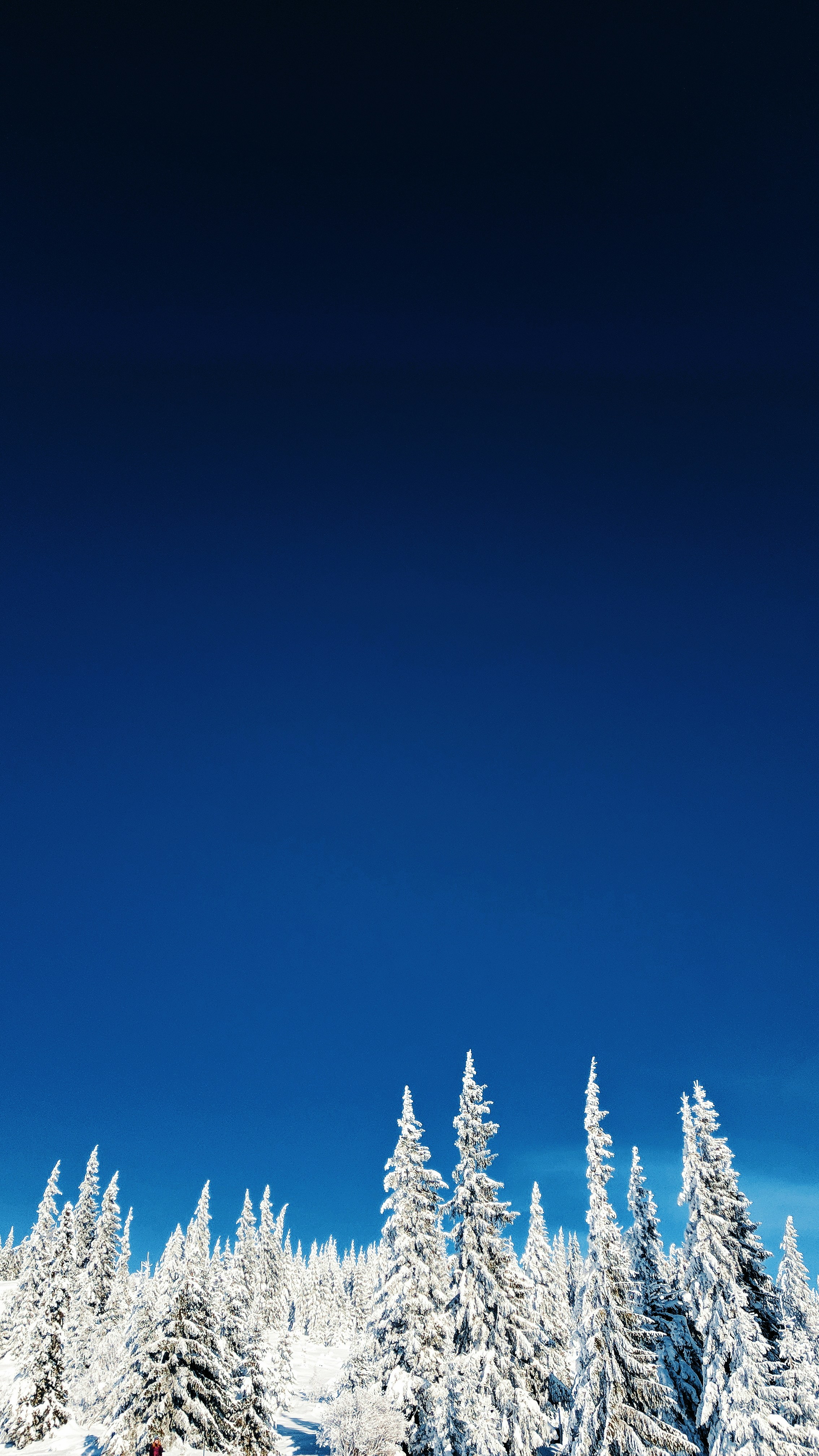 Photo by Laurentiu Galdau with Samsung Galaxy S8 Plus