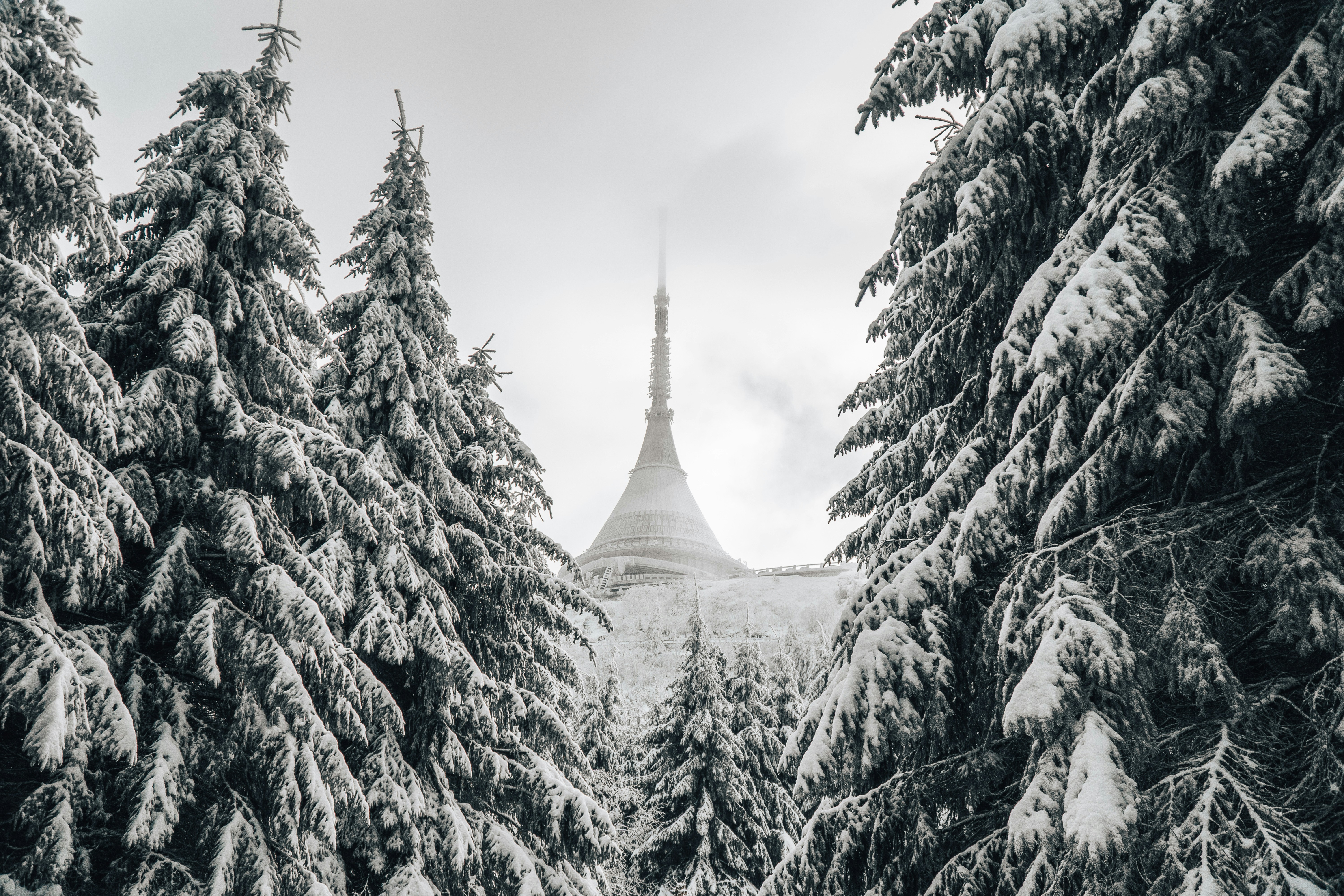Photo of snow-covered temple between pine trees photo – Free Pines ...