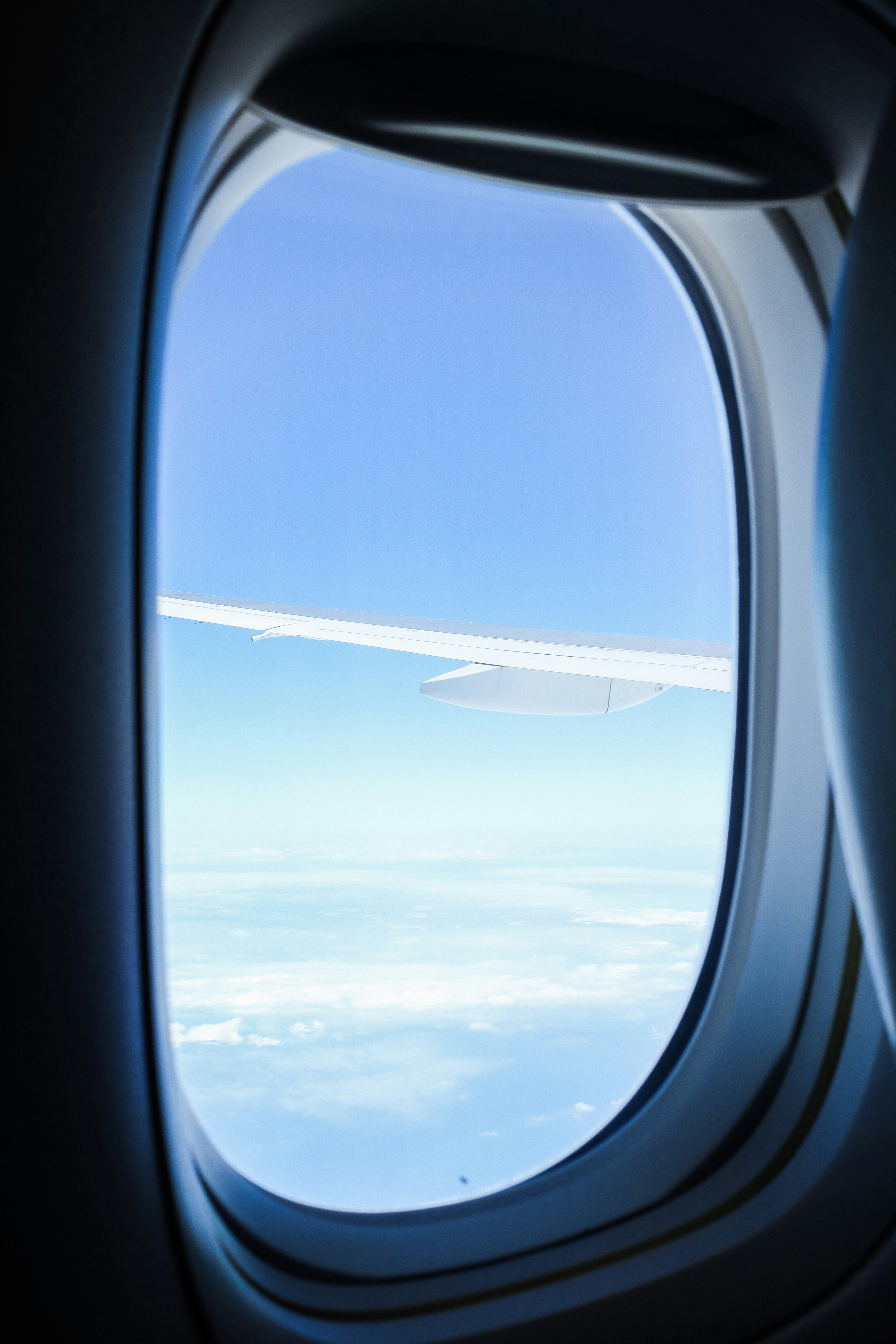 View of airplane left wing during daytime photo – Free Blue Image on ...