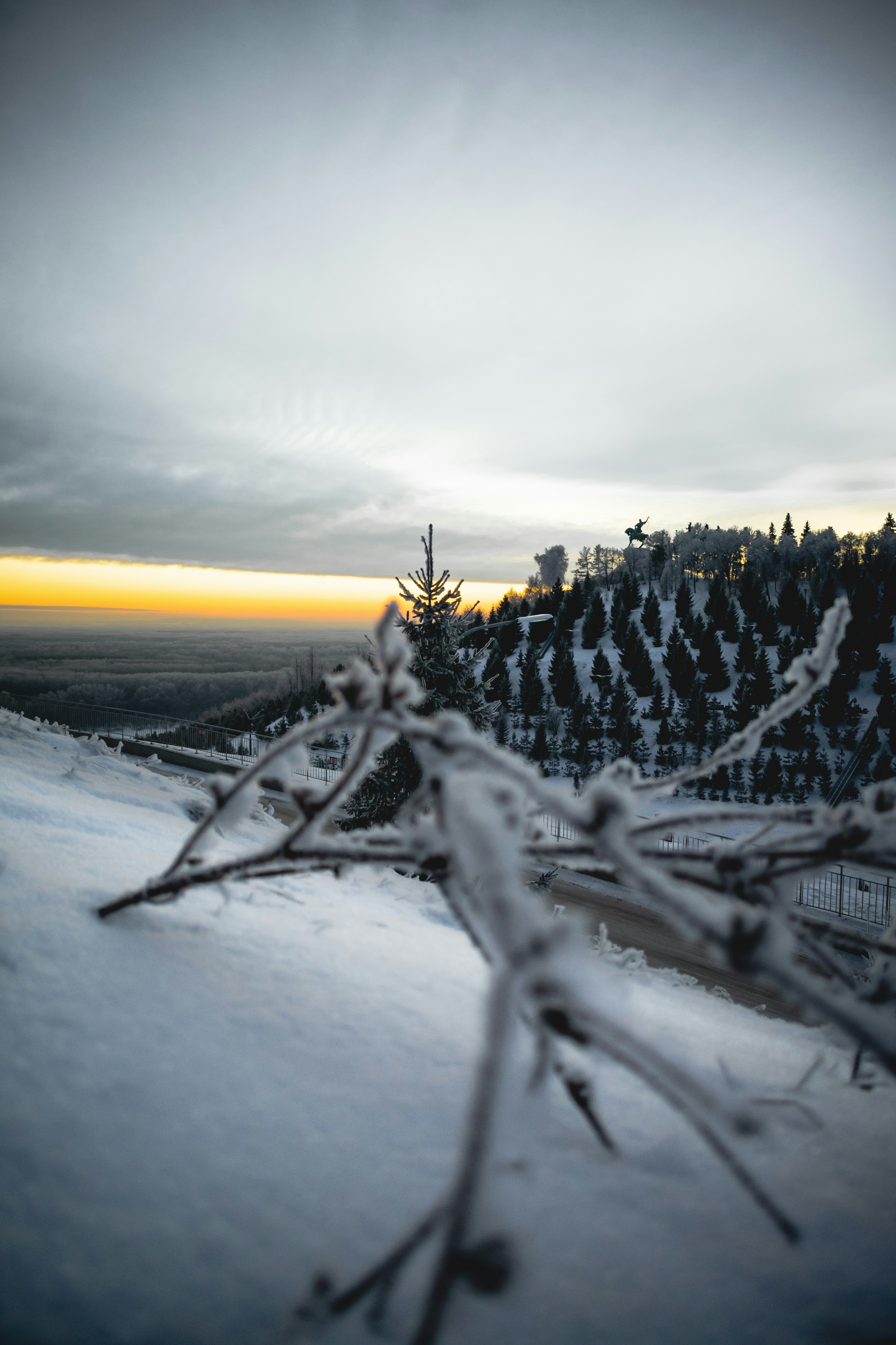 Sentinel on the Snowbound Ridge at Dusk