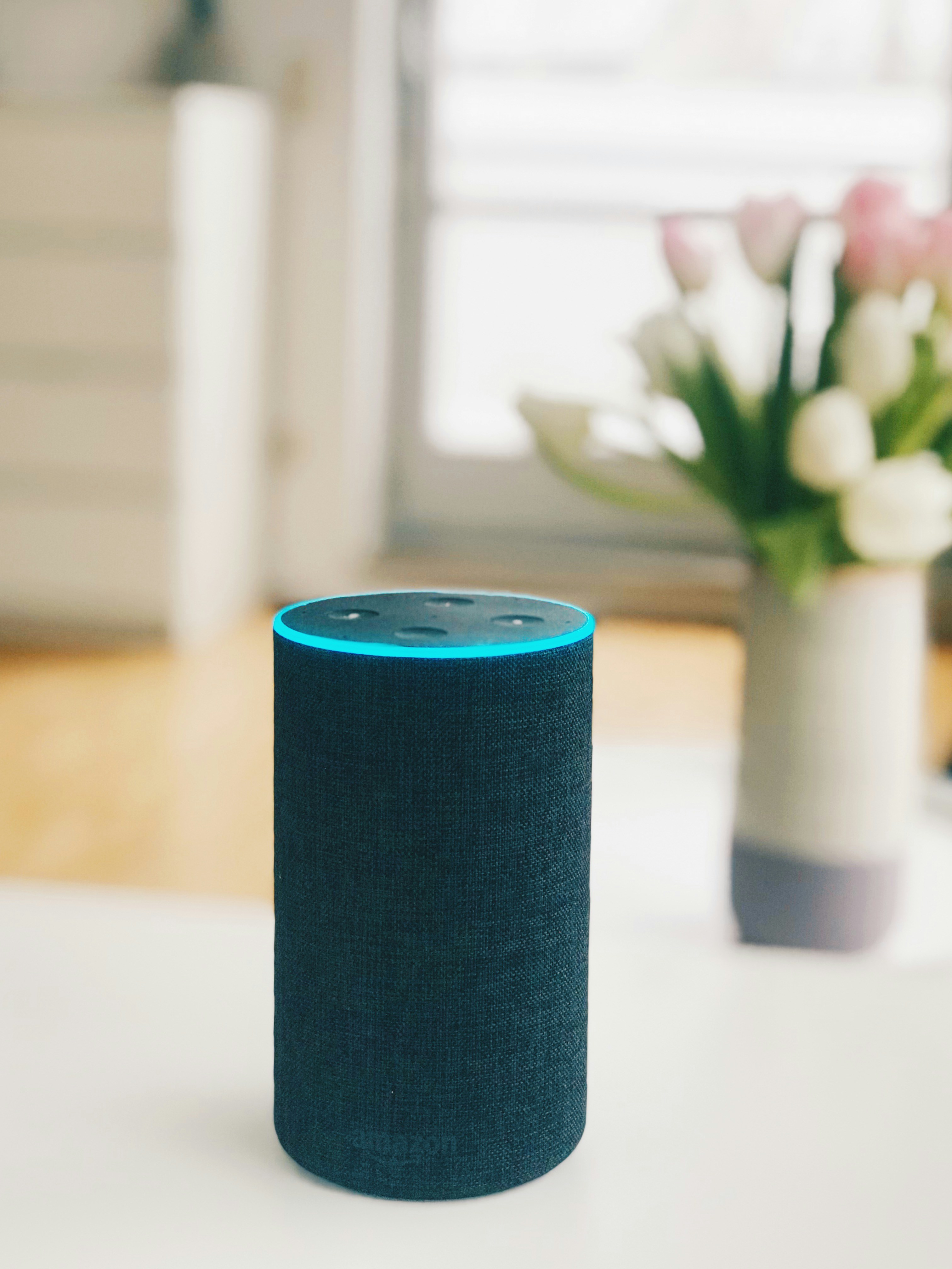 1st gen Amazon Echo speaker photo – Free Cylinder Image on Unsplash