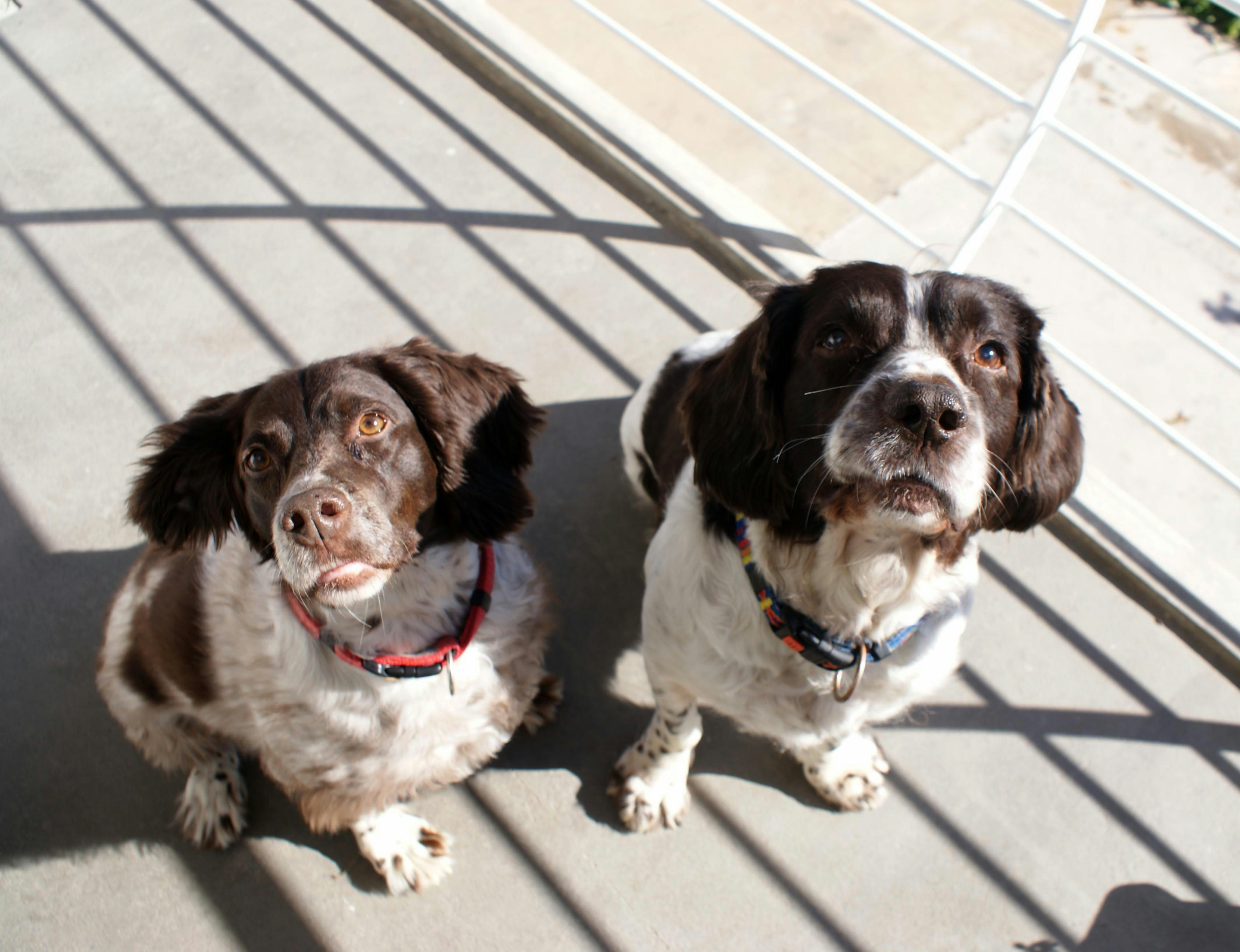 Keana Miles (@keejj) | Komunitas Foto Unsplash