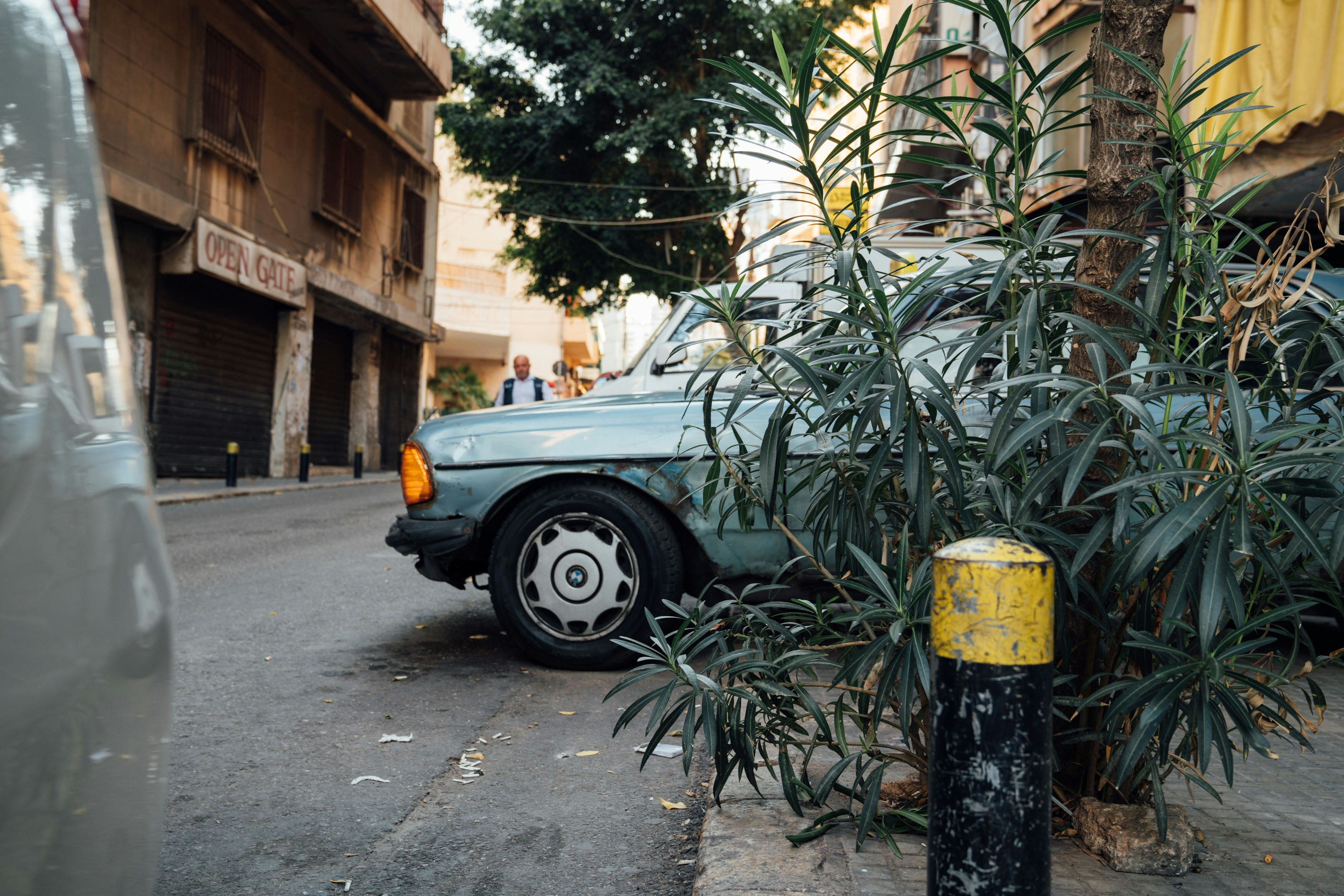 Classic car partially obscured by greenery on a narrow city street, evoking a sense of urban tranquility.