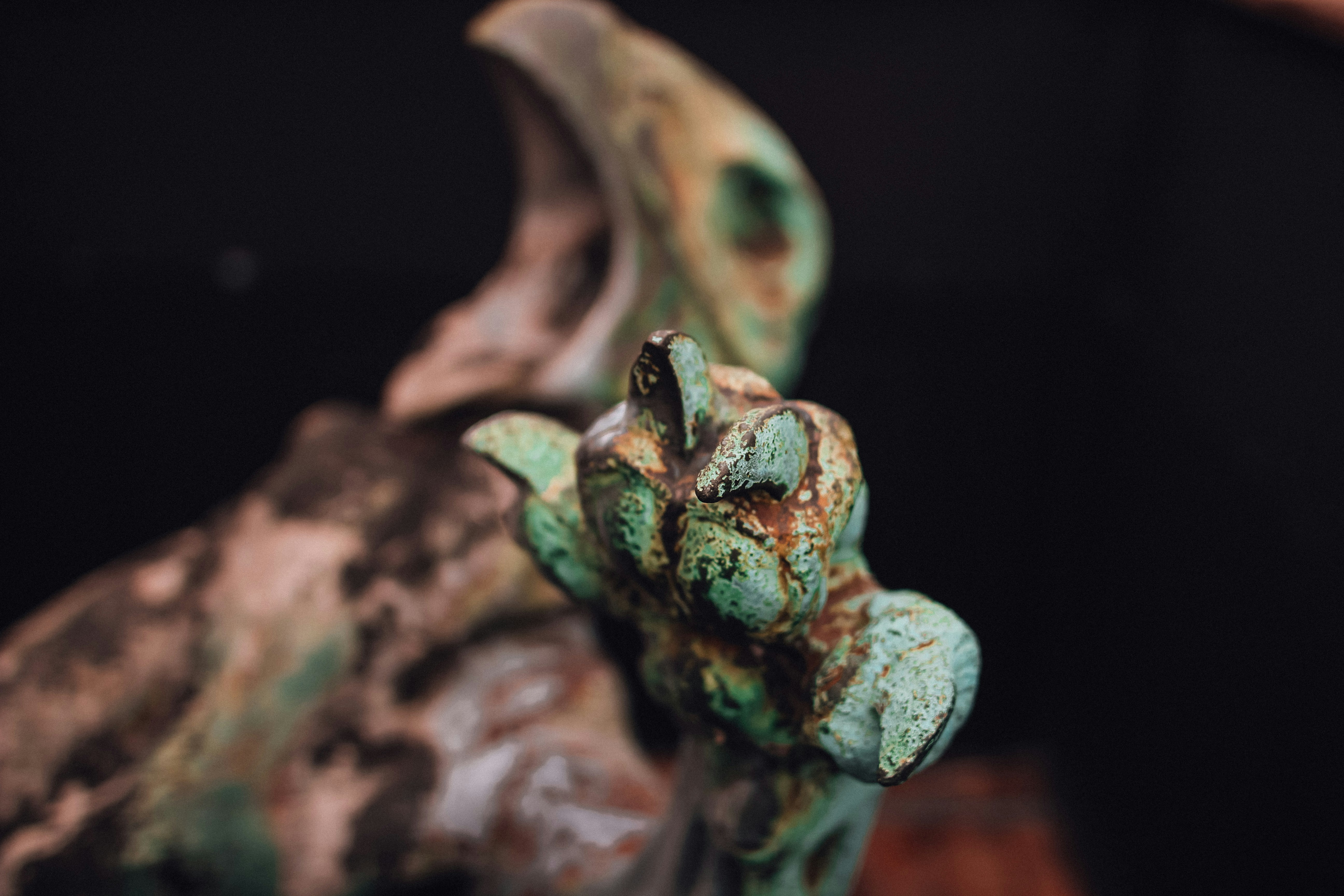 Griffe Verte Photos | Télécharger des images gratuites sur Unsplash