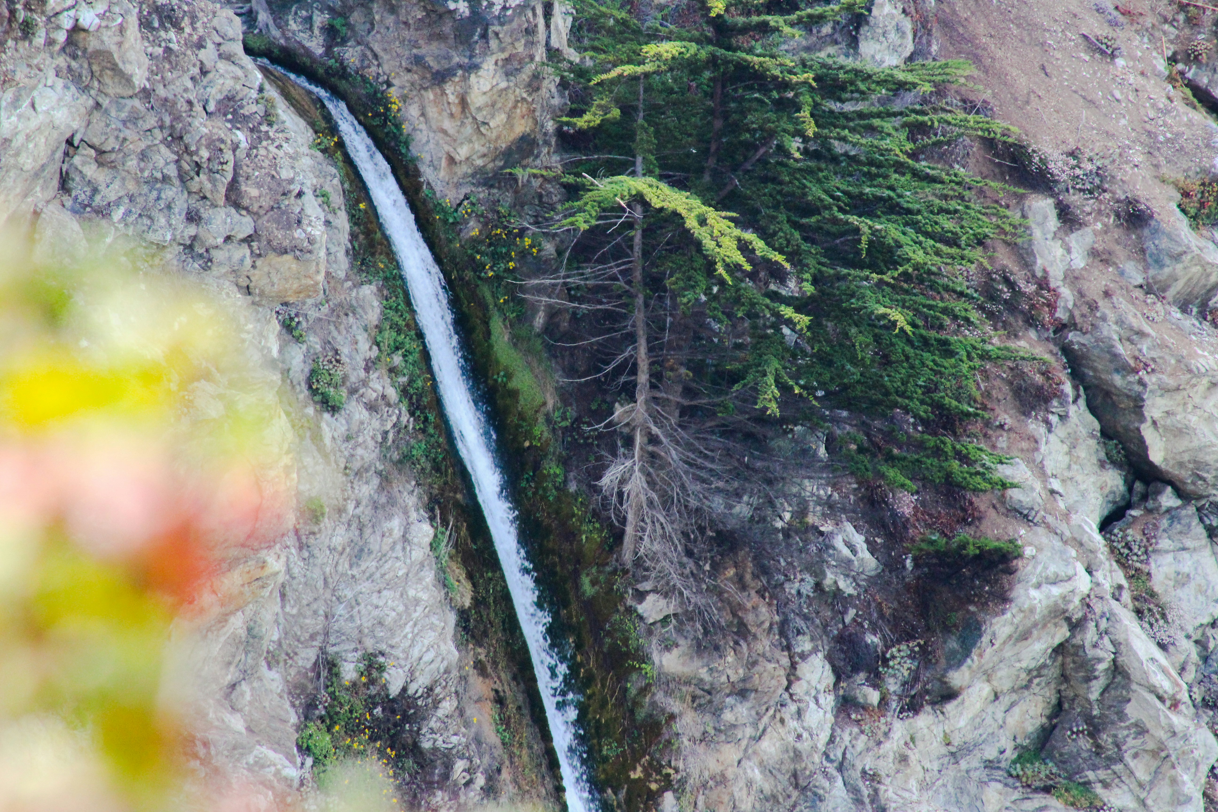 Waterfalls near trees during daytime photo – Free Waterfall Image on ...