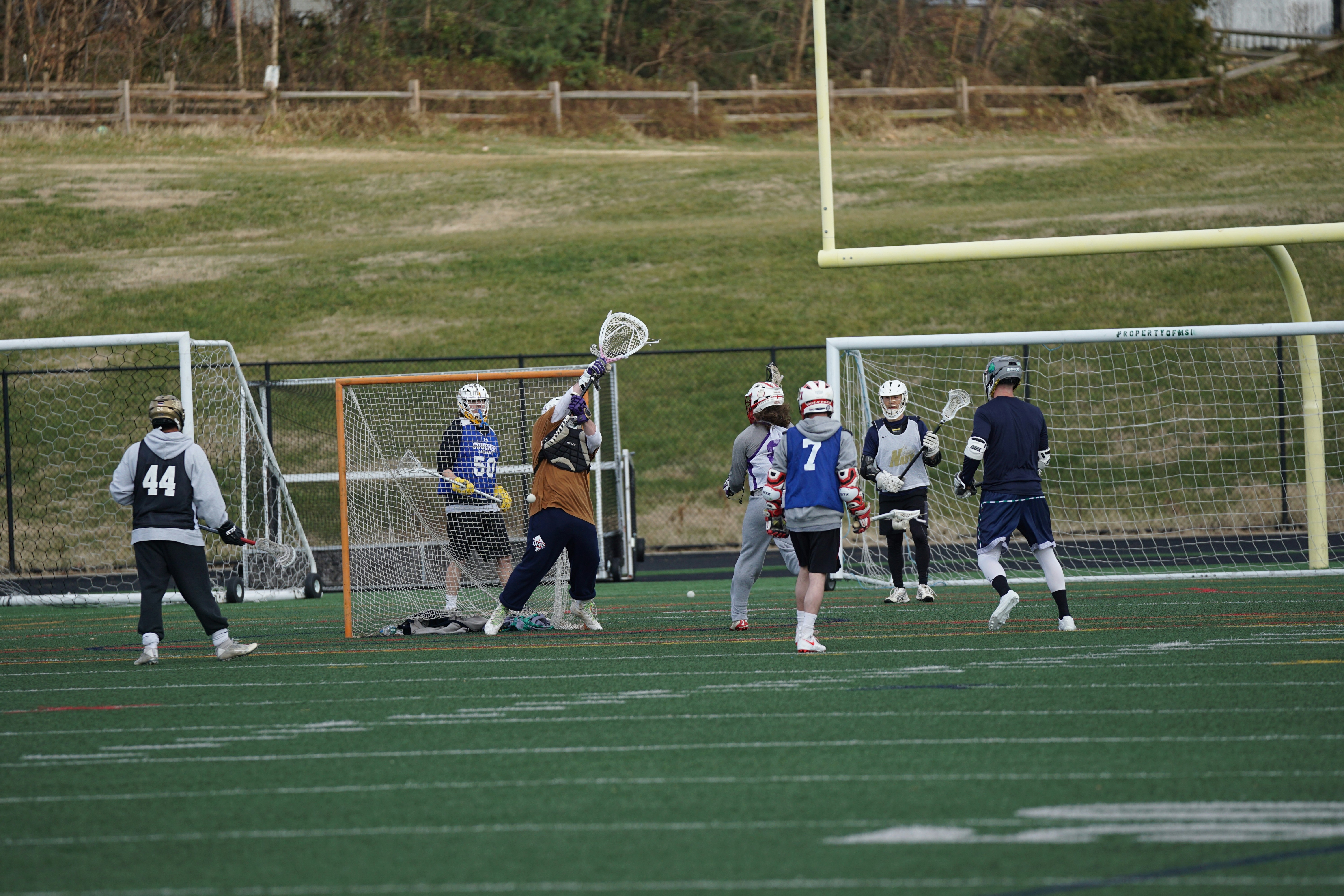 People playing lacrosse game on field photo – Free Team sport Image on ...