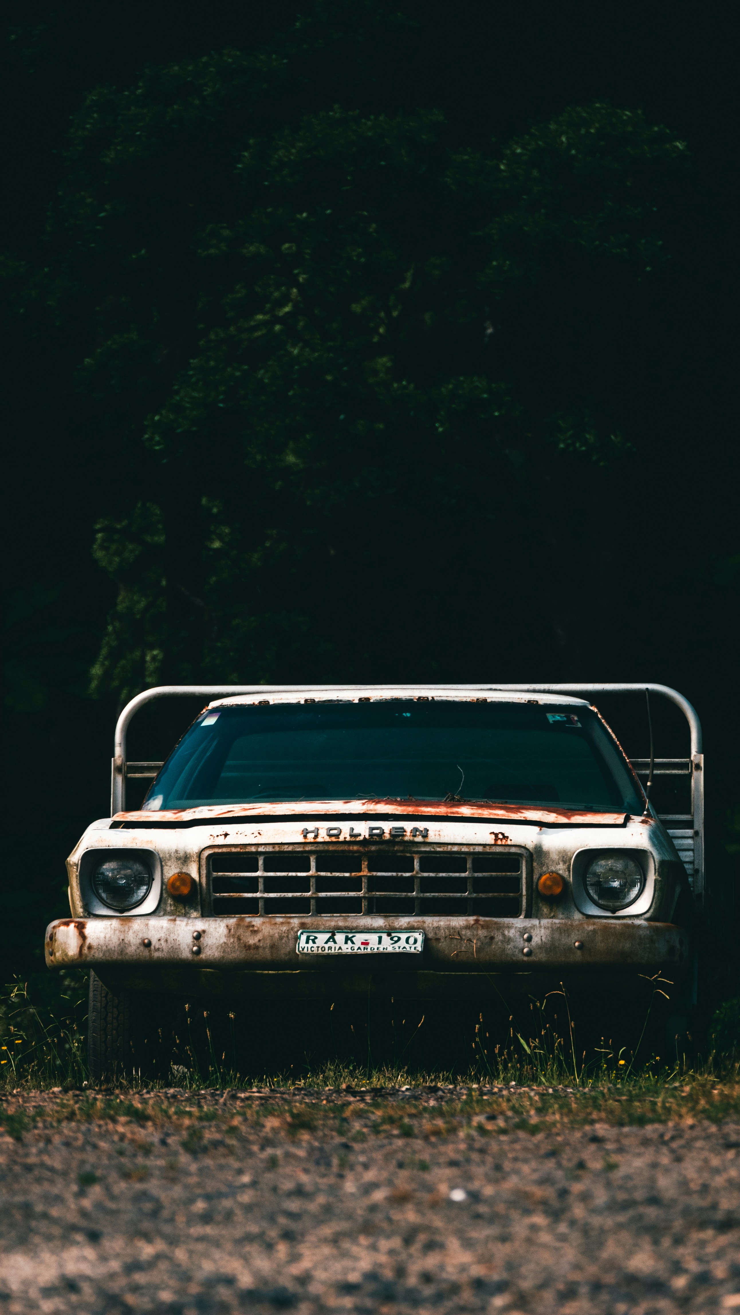 A weathered Holden truck, partially obscured by shadows, stands still amidst overgrown grass and gravel. Its rusted exterior tells tales of time and neglect.