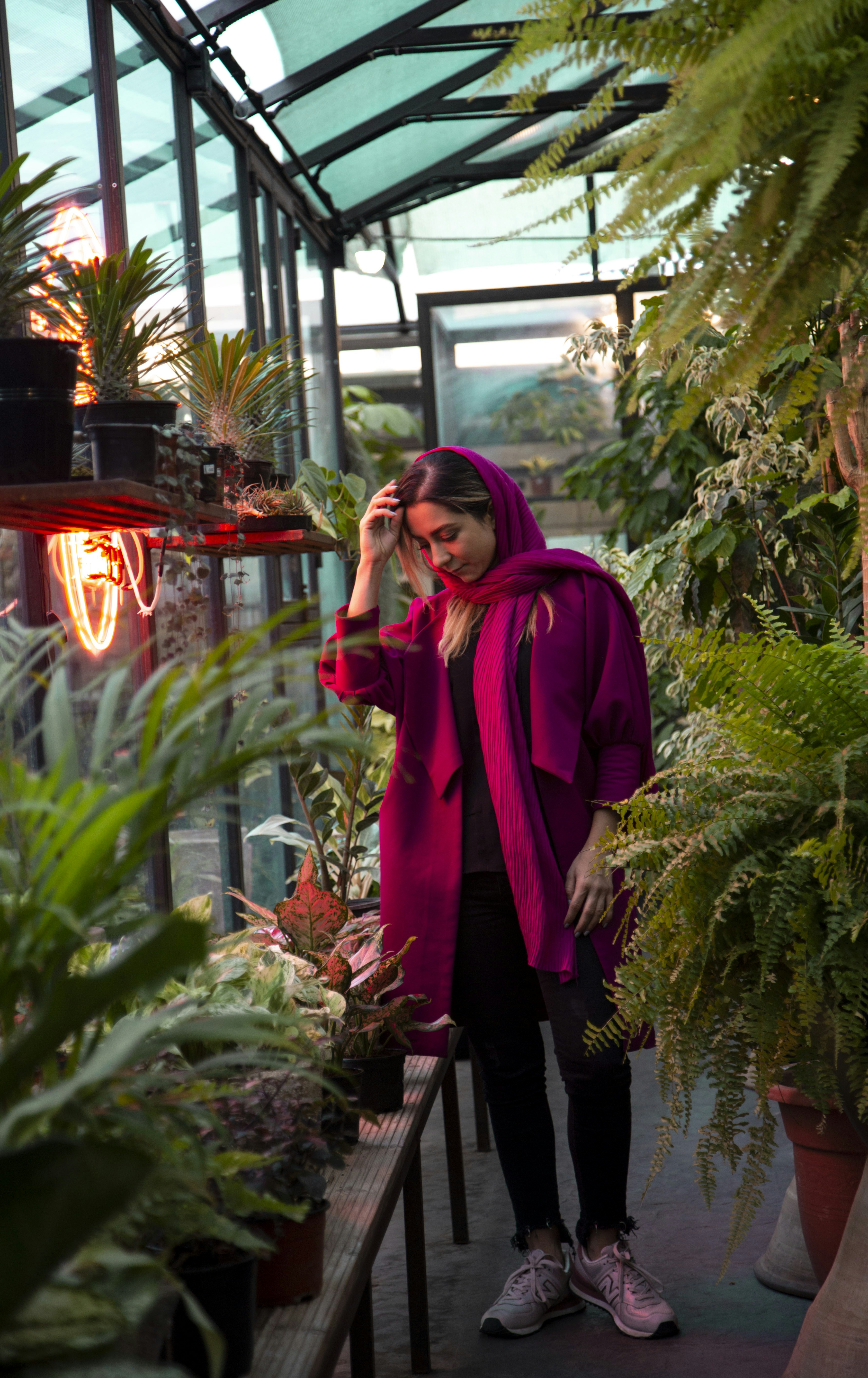 Magenta Cloak in the Greenhouse Glow