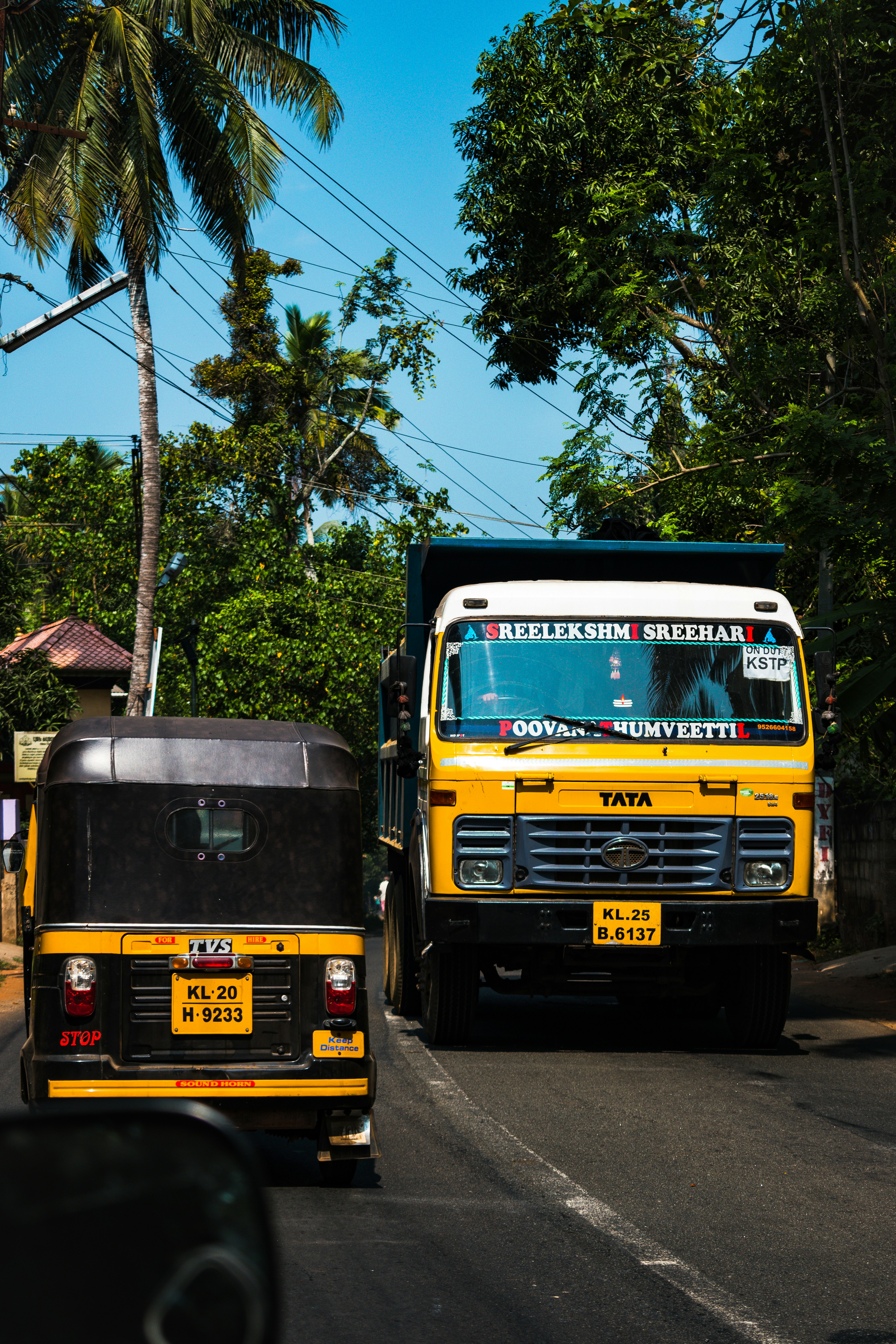 Auto Rickshaw Truck