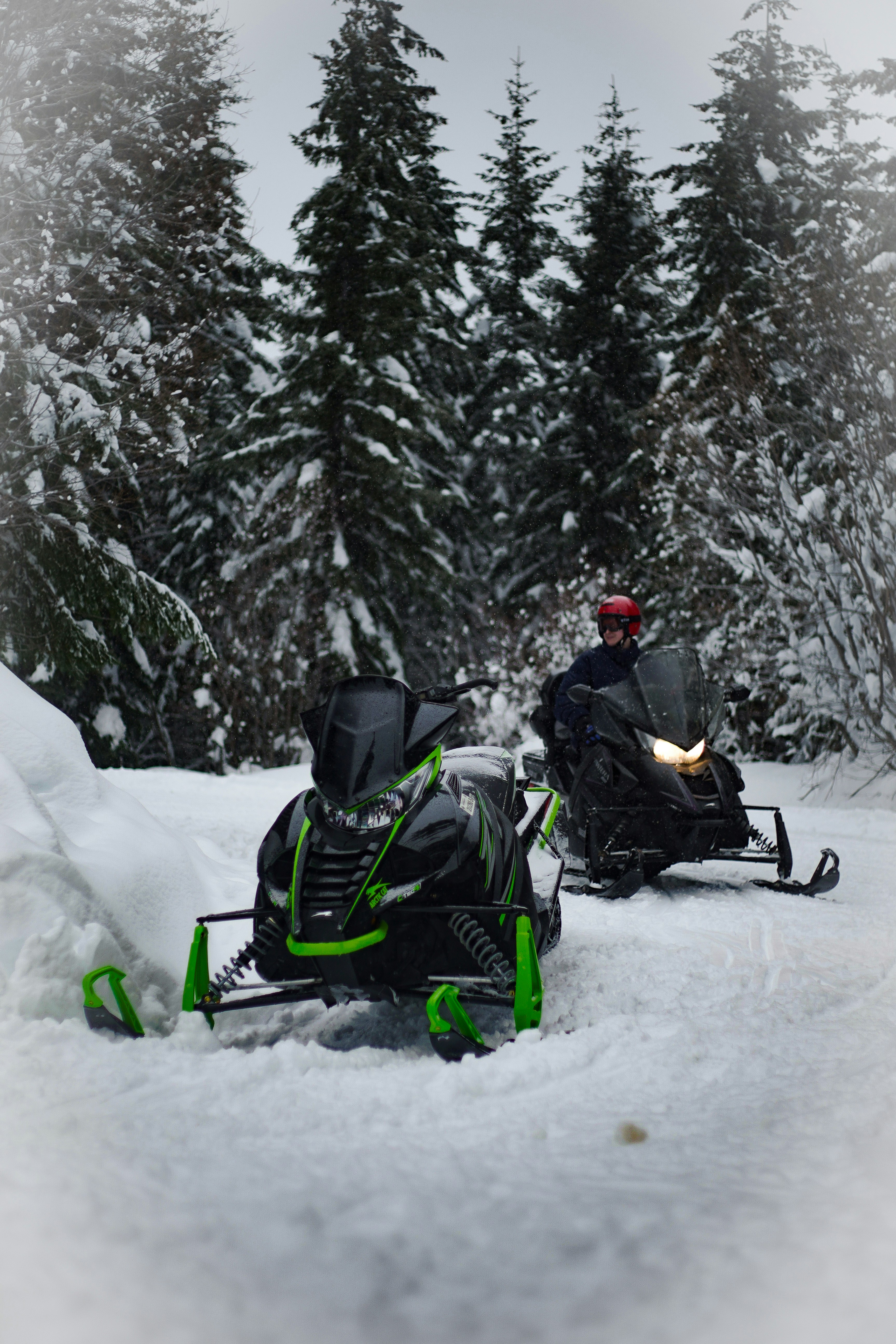 Two snowmobiles navigating a snowy forest trail, surrounded by tall evergreen trees. The scene captures the thrill of winter exploration.