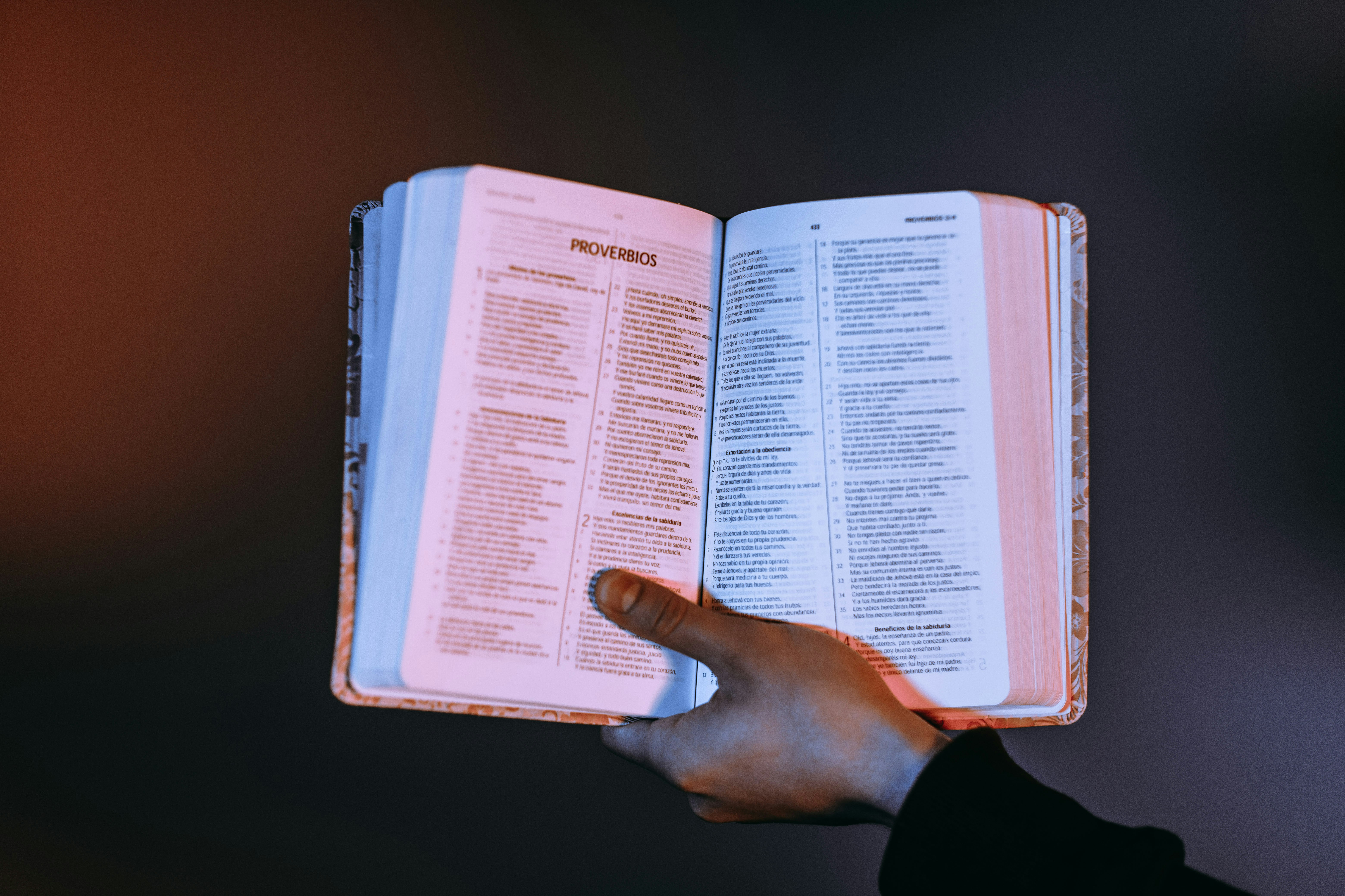 Holy Bible photo – Free Book Image on Unsplash