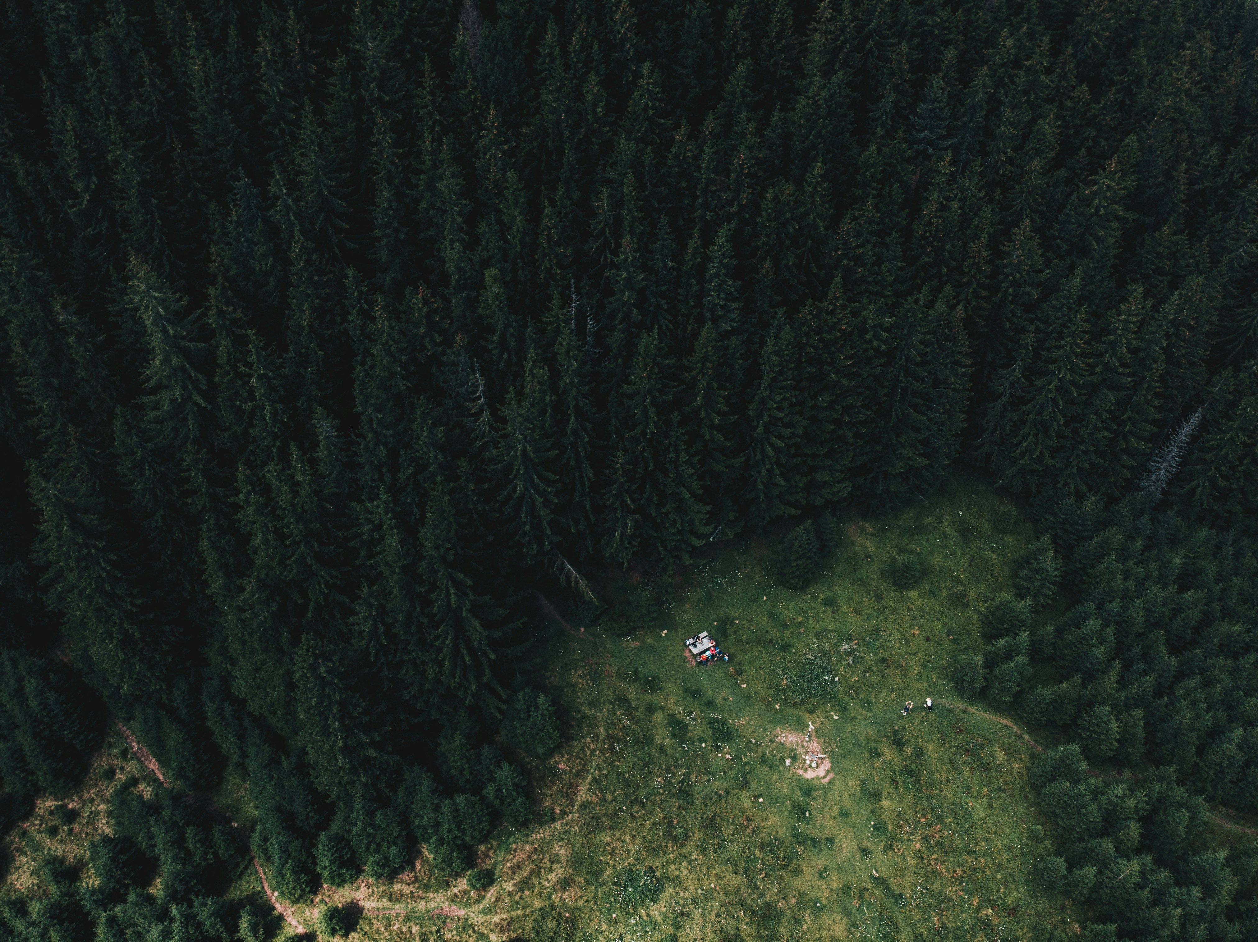 Natur Wunderland (@natur_wunderland) | Komunitas Foto Unsplash