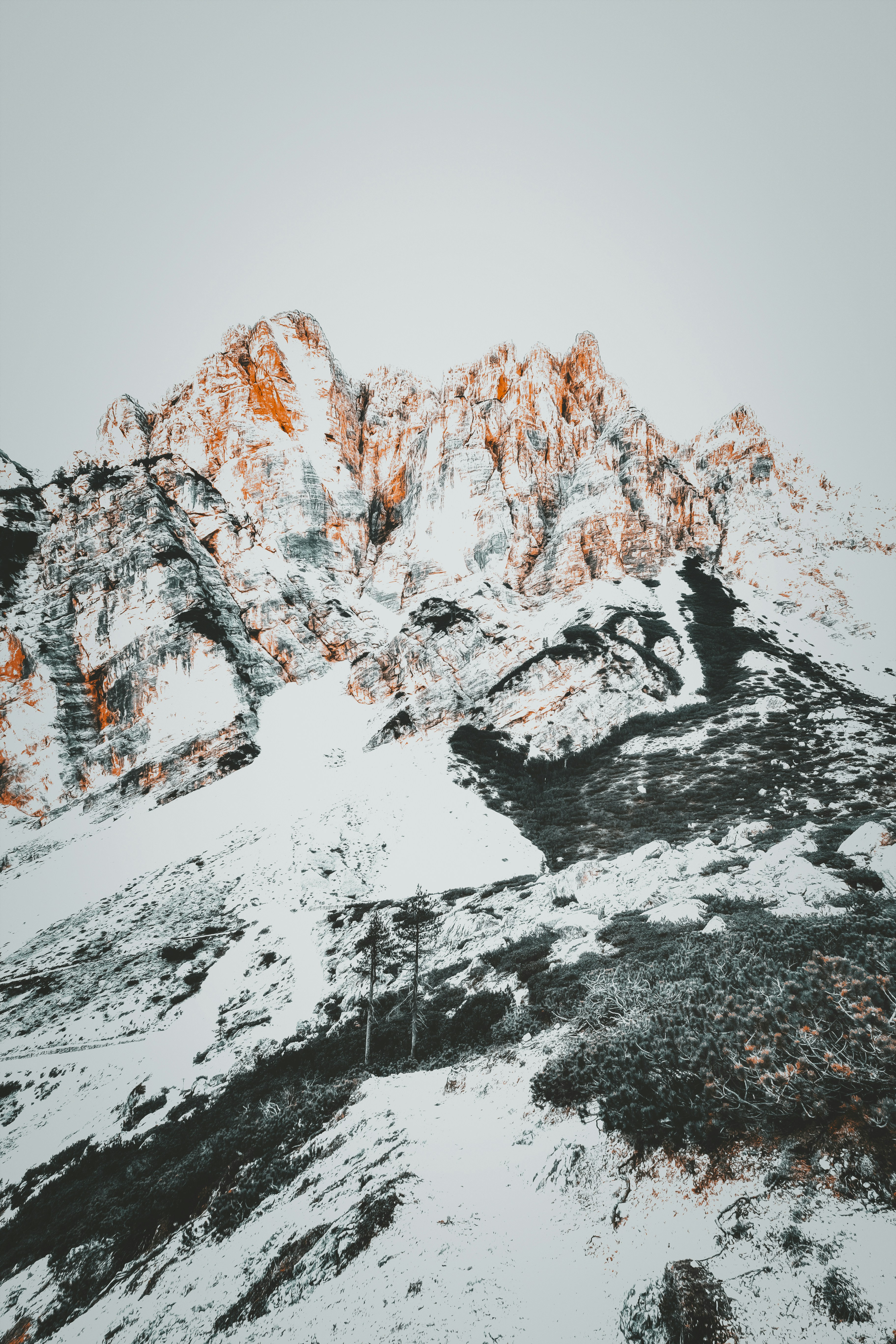 Selective focus photography of woman facing left photo – Free Woman ...