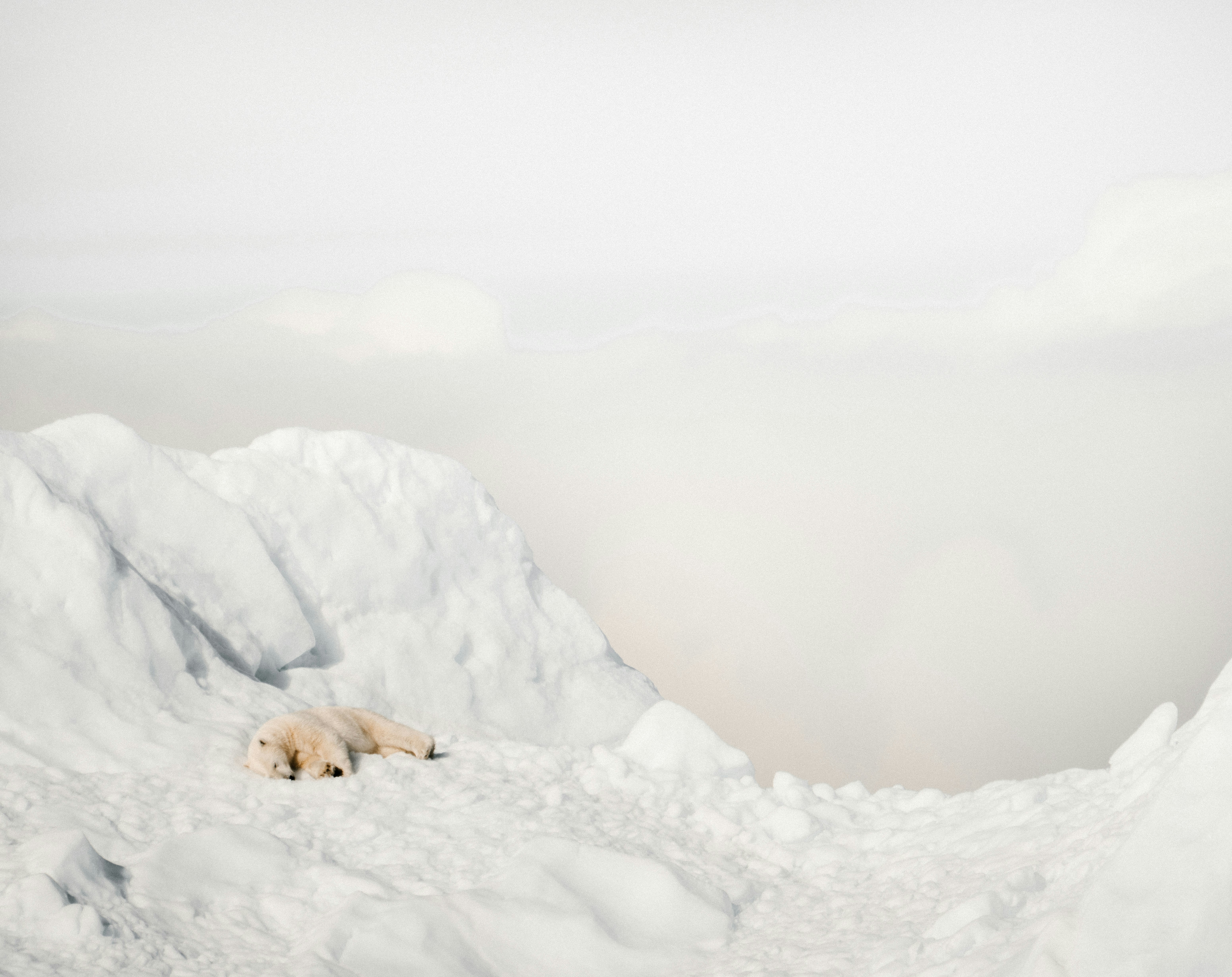 Solitude on the Glacier: A Pale Figure Resting Among Snow and Ice