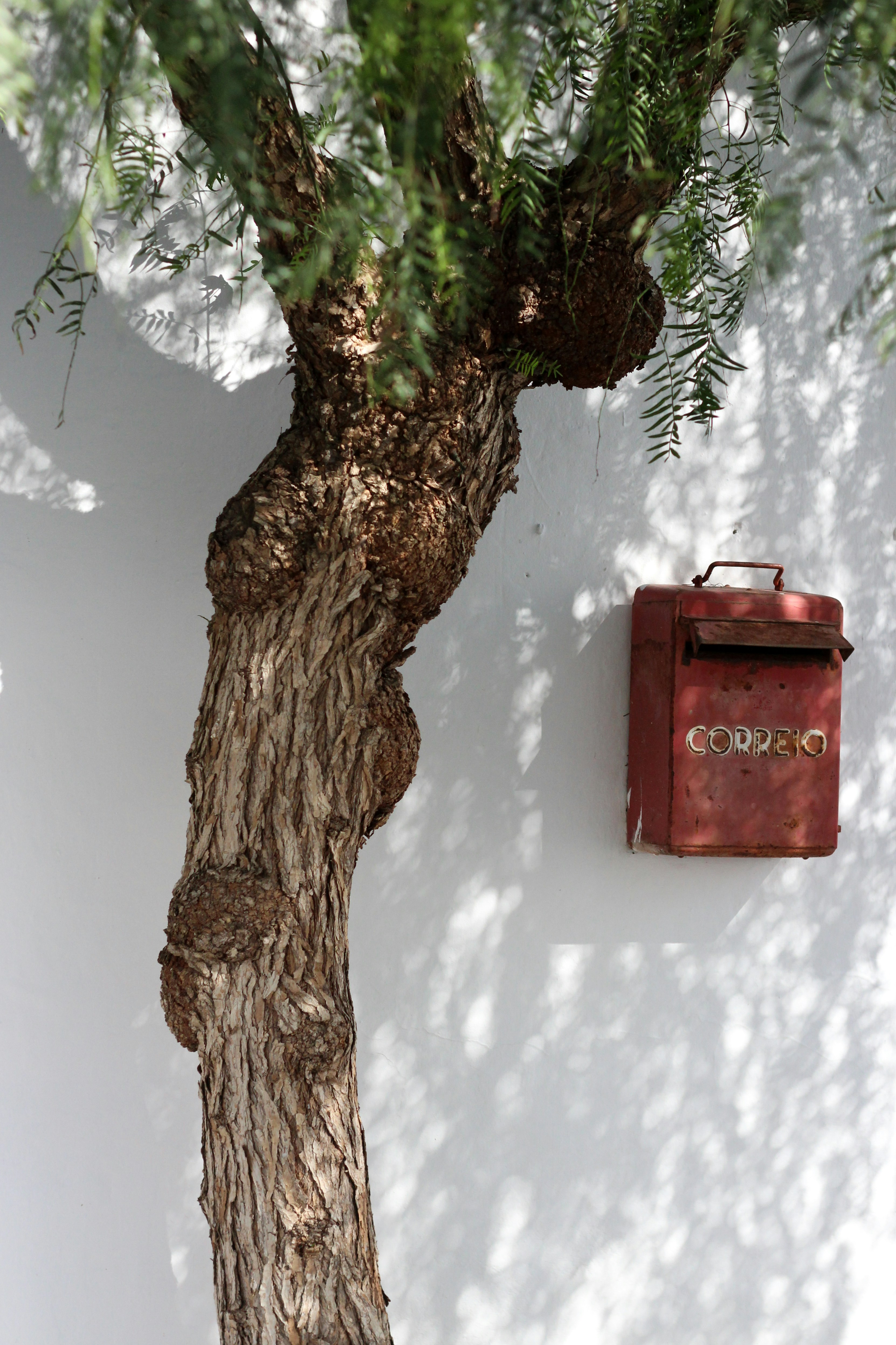 Old Trunk and Red Mailbox: A Quiet Courtyard Moment
