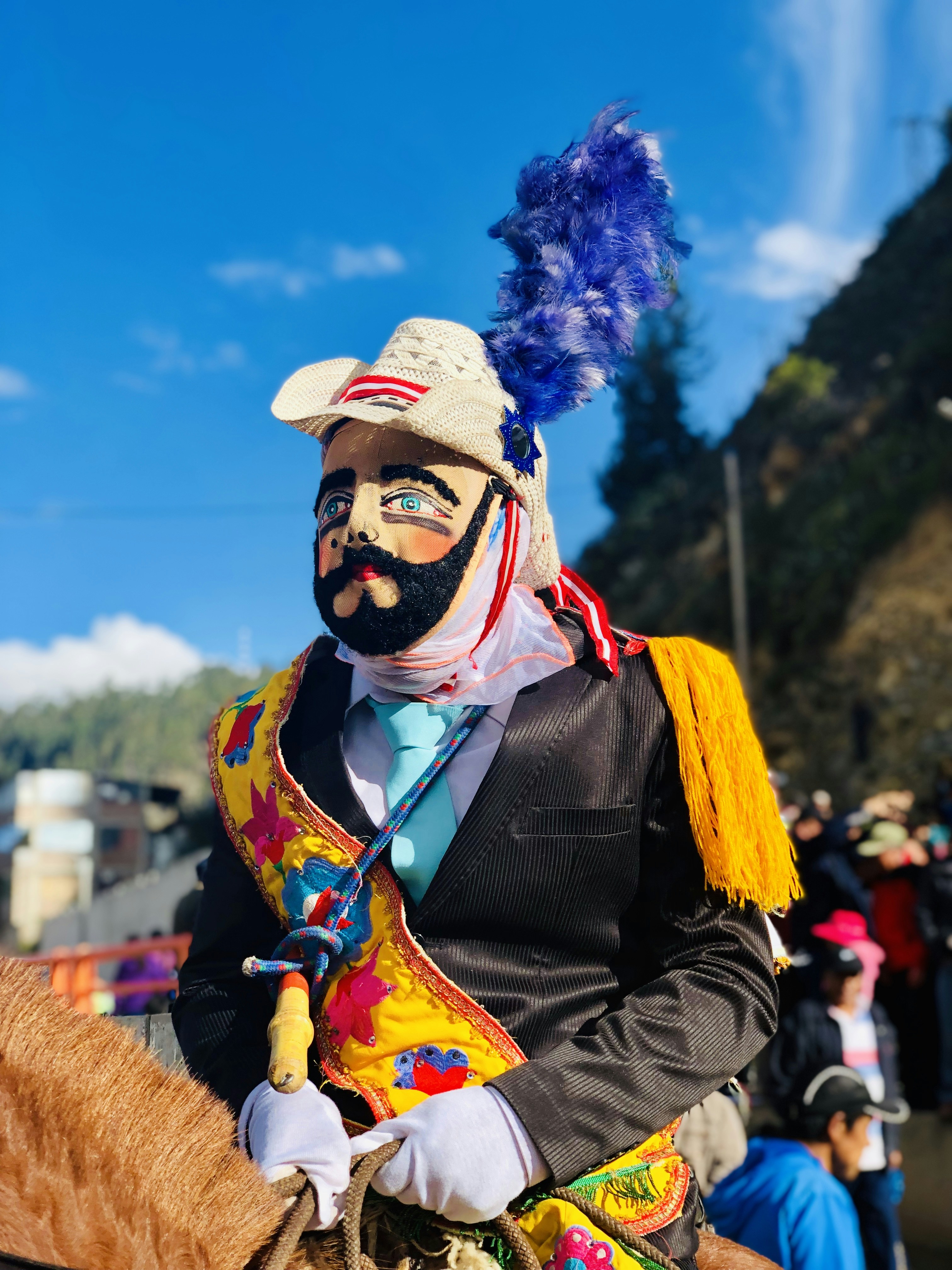 Feathered Carnival Rider: A Sunlit Burst of Color on Horseback