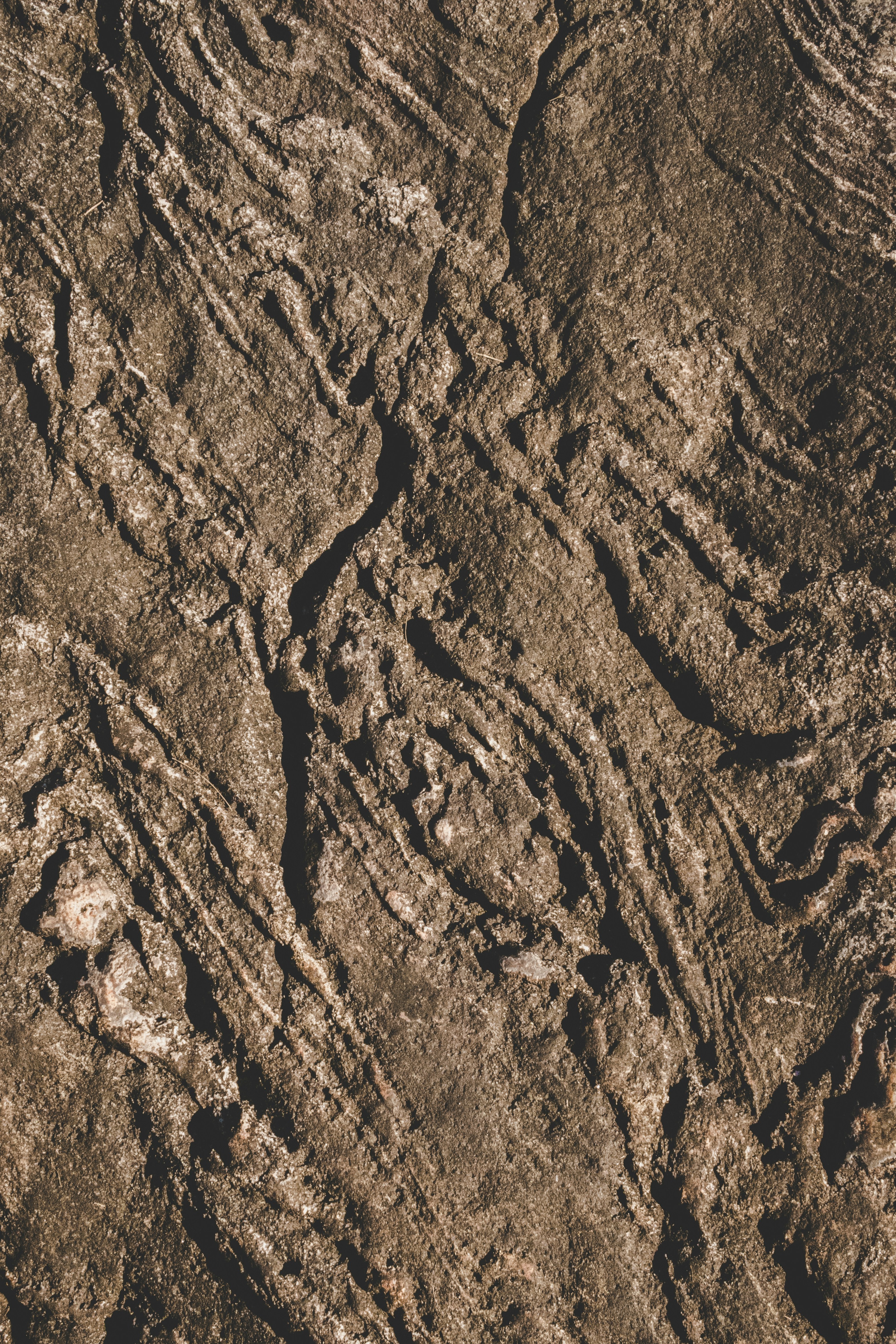 black and brown floral textile