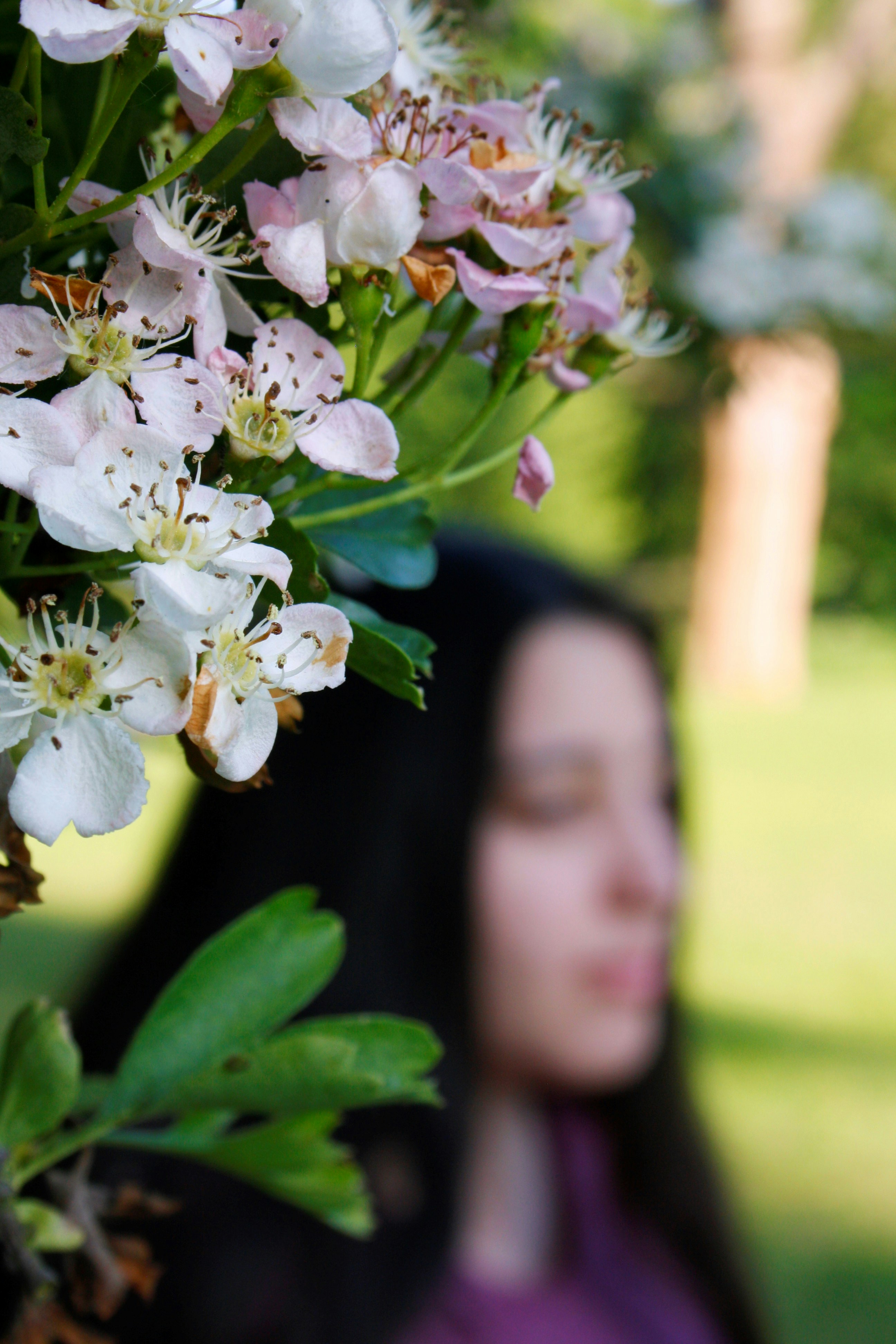 Petals in Sharp Focus, a Soft-Blurred Portrait Emerges