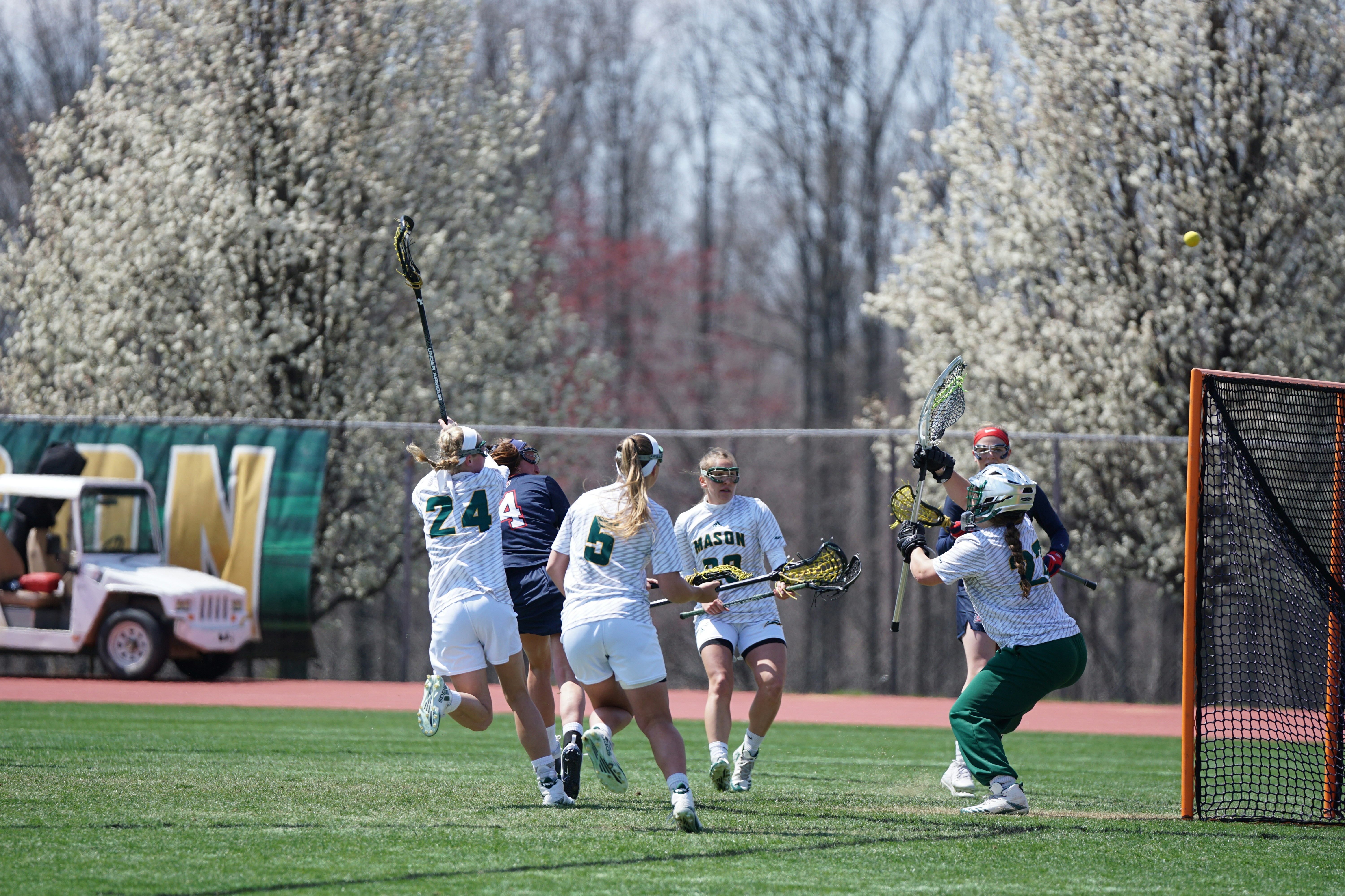 People playing lacrosse on field during daytime photo – Free Grey Image ...