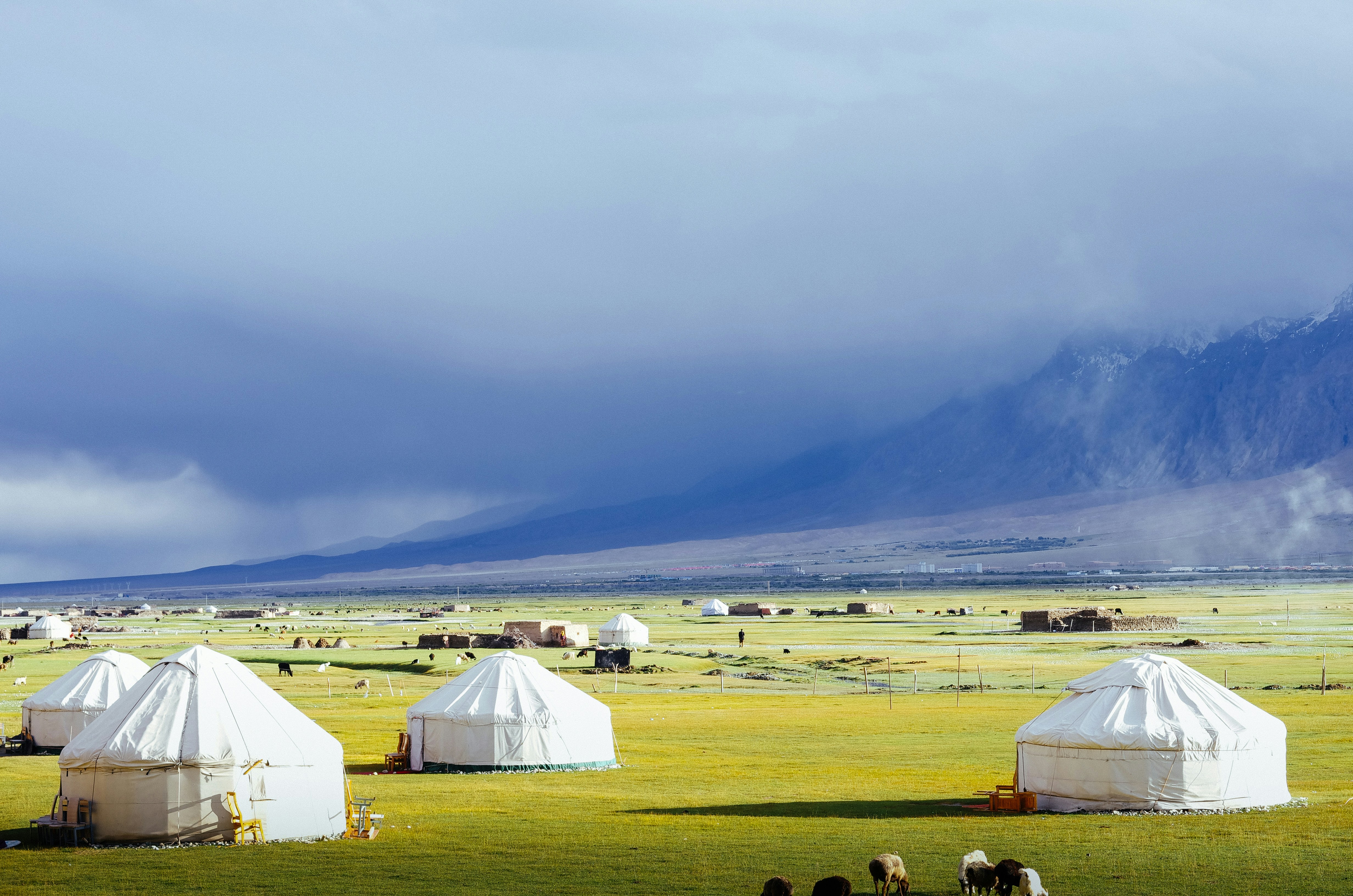 Wide landscape photograph capturing white yurts scattered across sunlit grassland with grazing livestock. A blue-tinged mountain range looms in the distant mist.