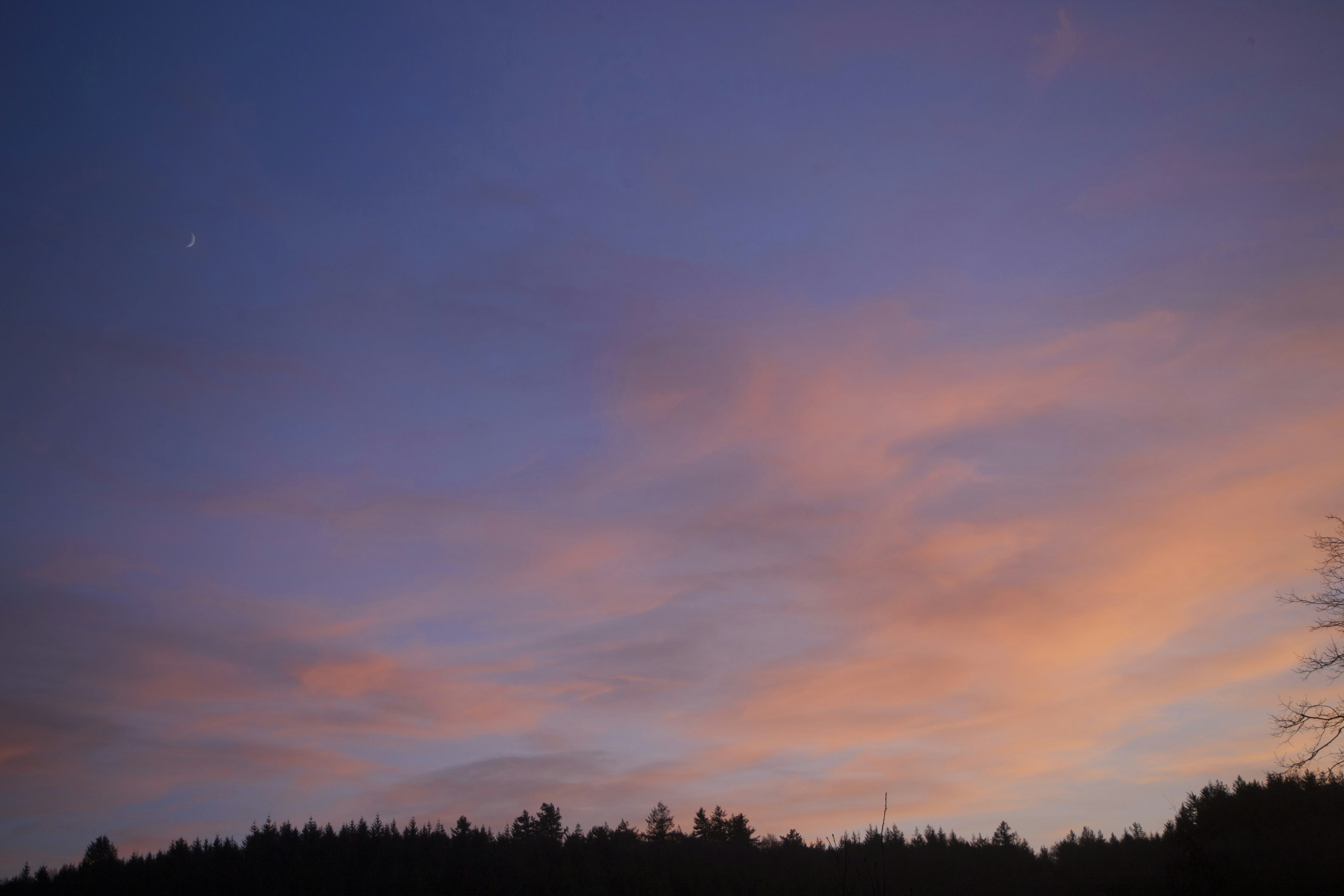 Cecilia Jørgensen (@cecil_97) | Communauté photos Unsplash