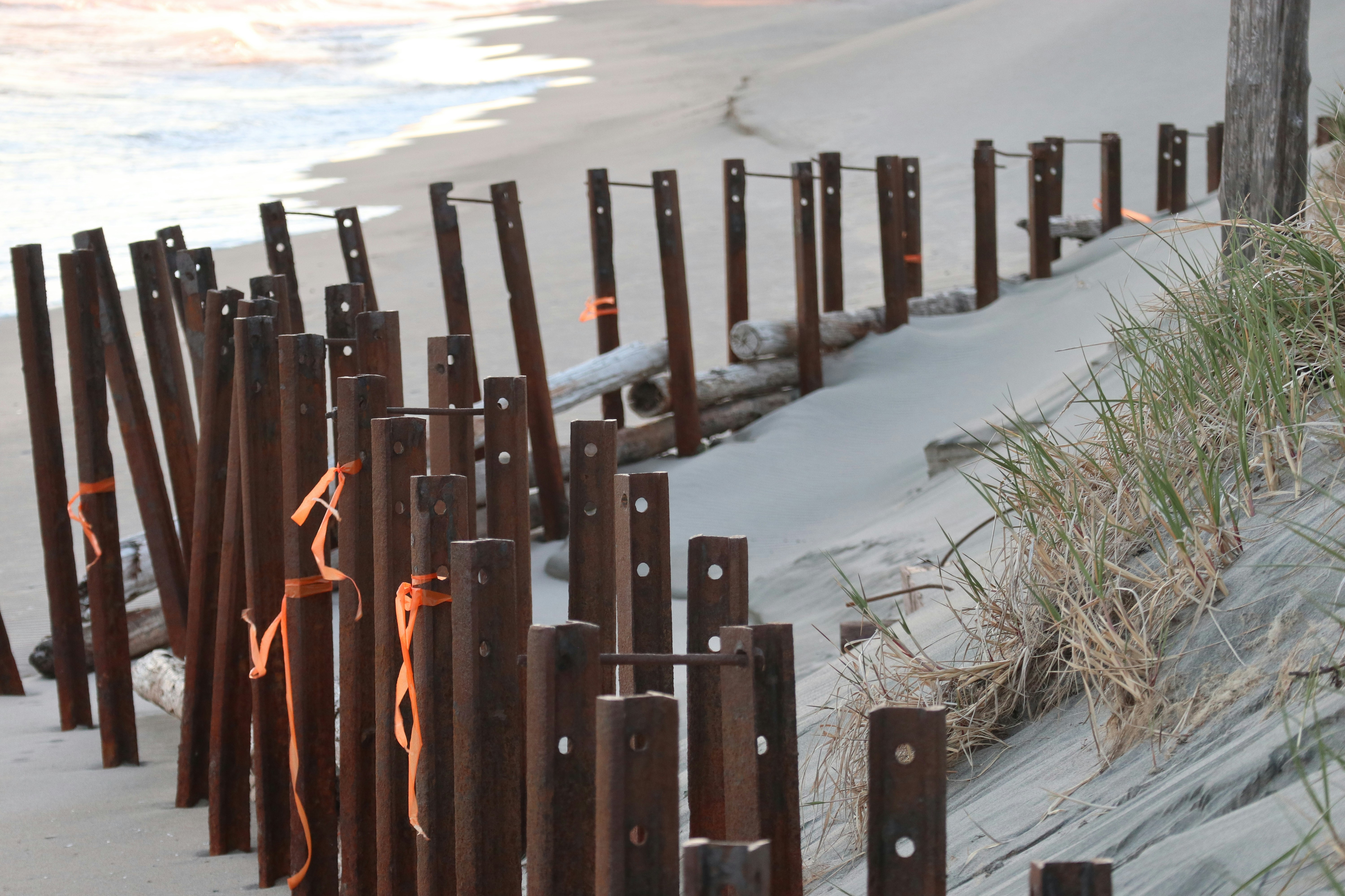 Echoes of Resilience: The Weathered Shoreline