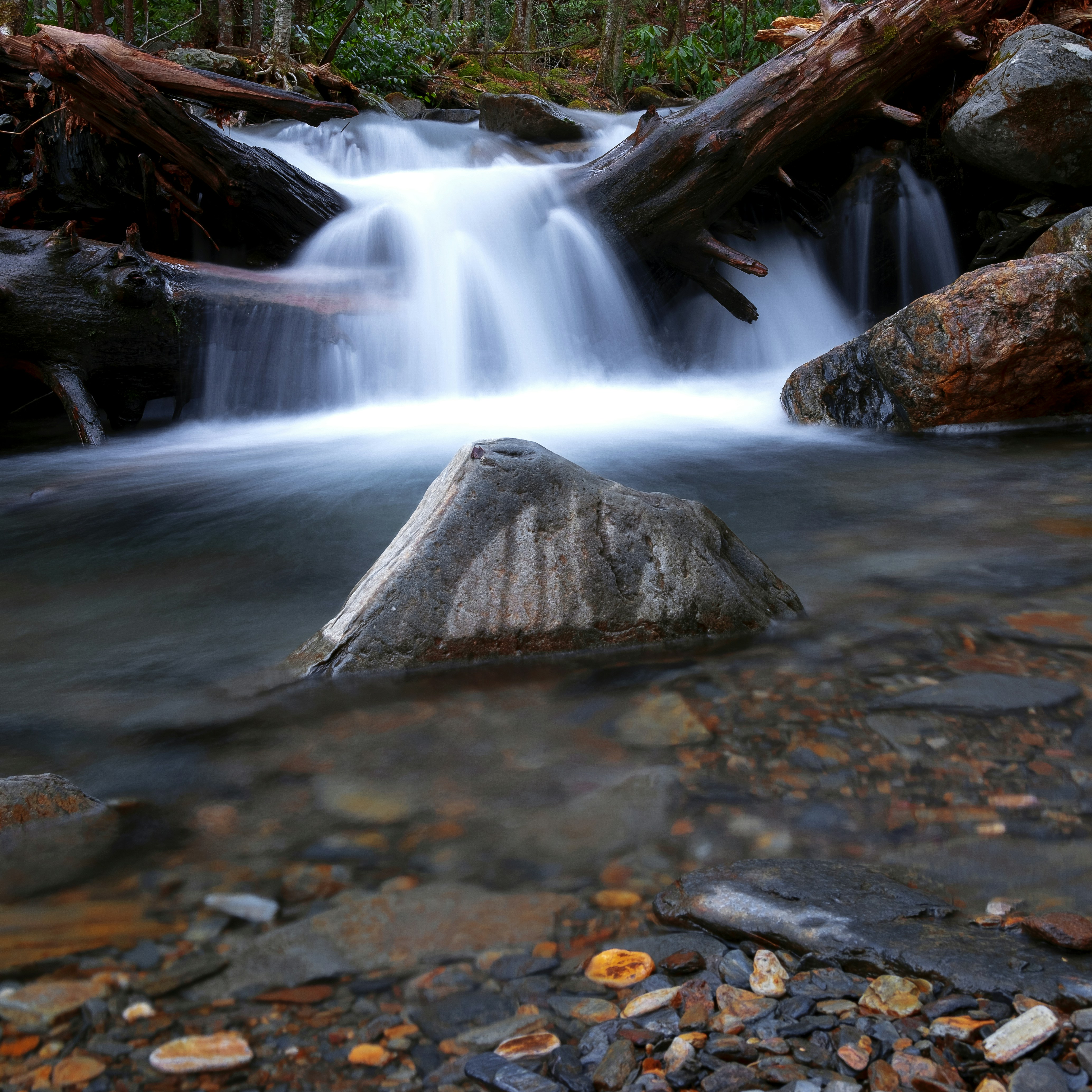 A serene waterfall cascades over smooth stones, surrounded by lush greenery and fallen logs. The tranquil scene invites reflection.