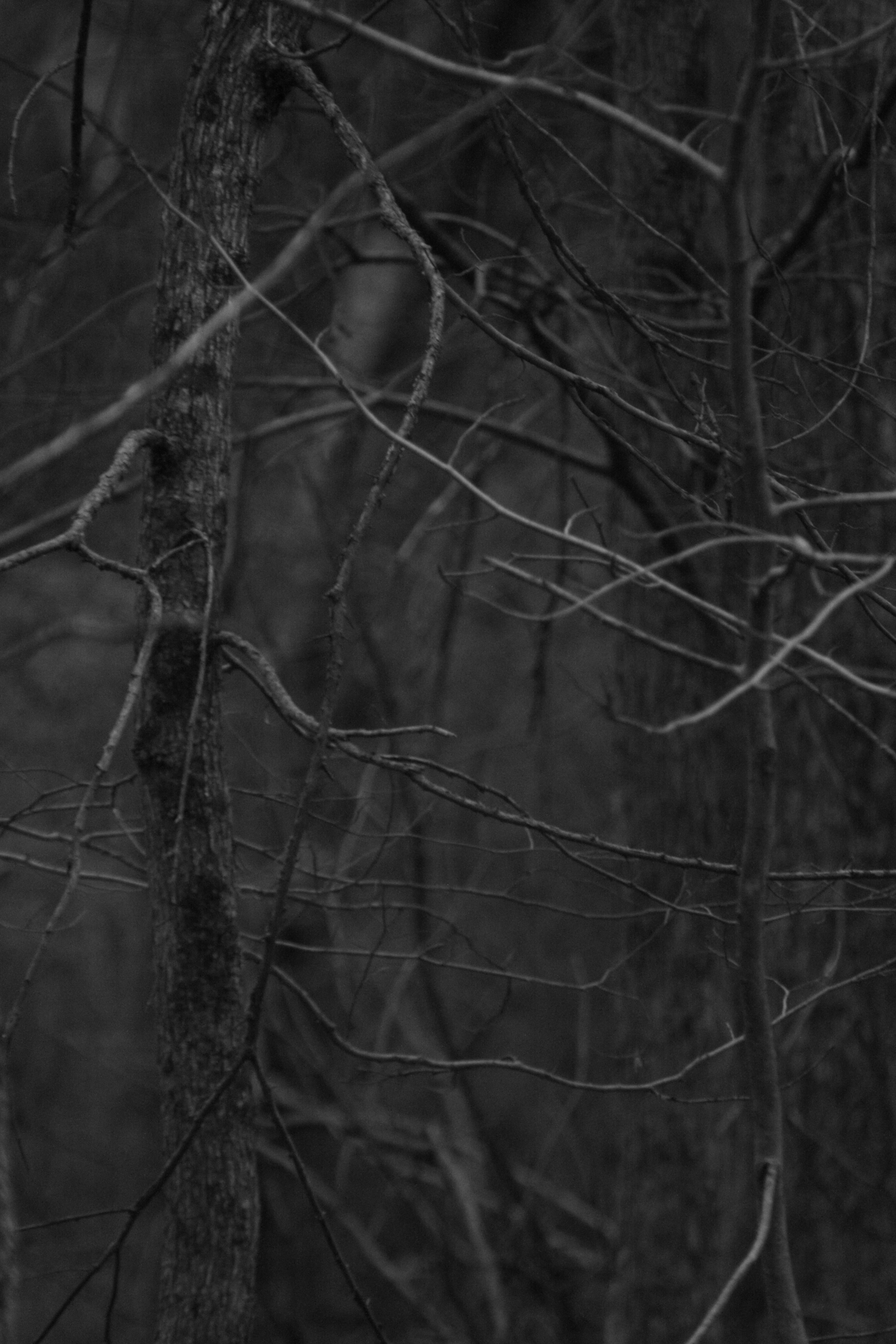 David Moore (@off) | Communauté photos Unsplash