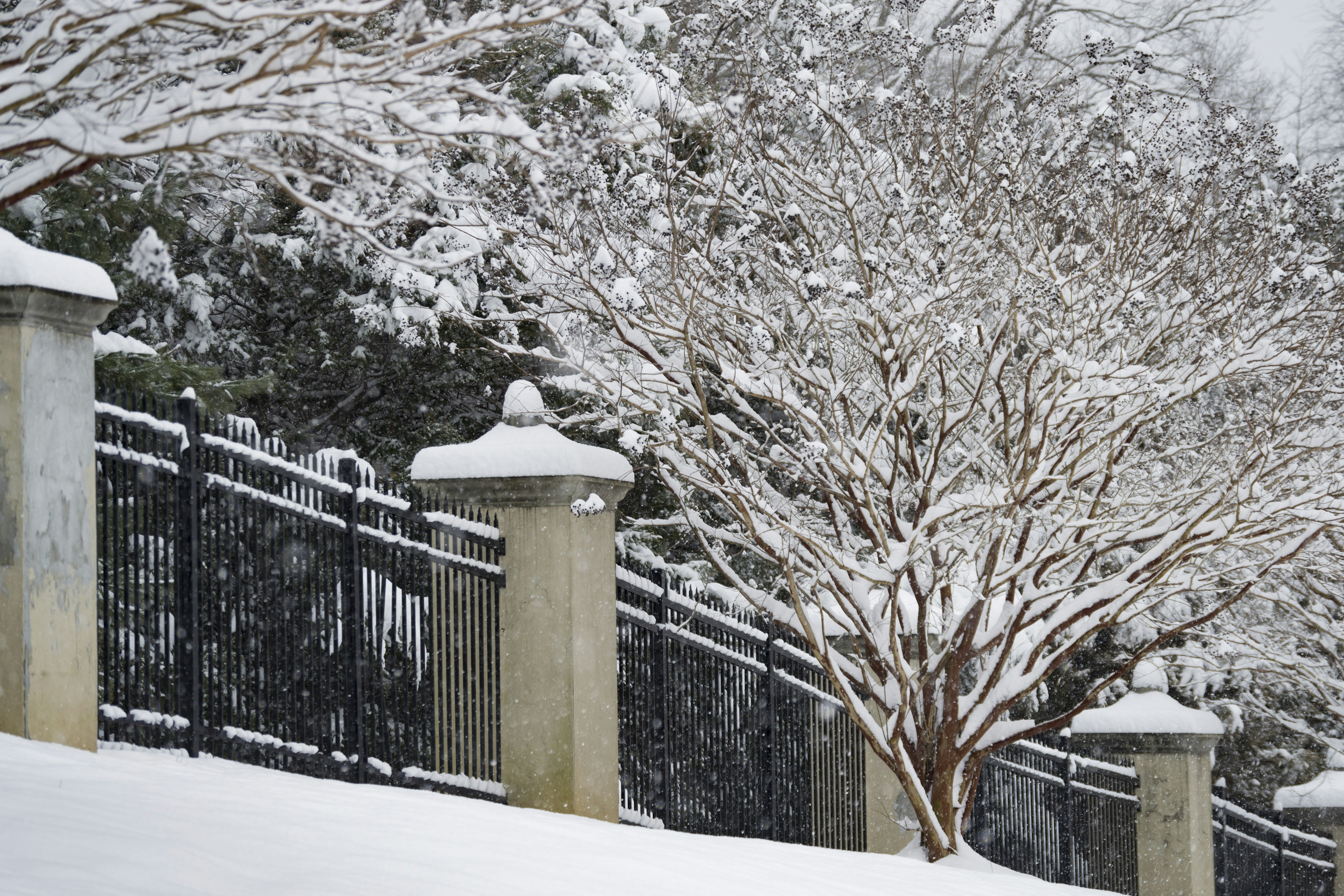Snowbound Iron Fence and Frosted Tree Framing a Quiet Hill