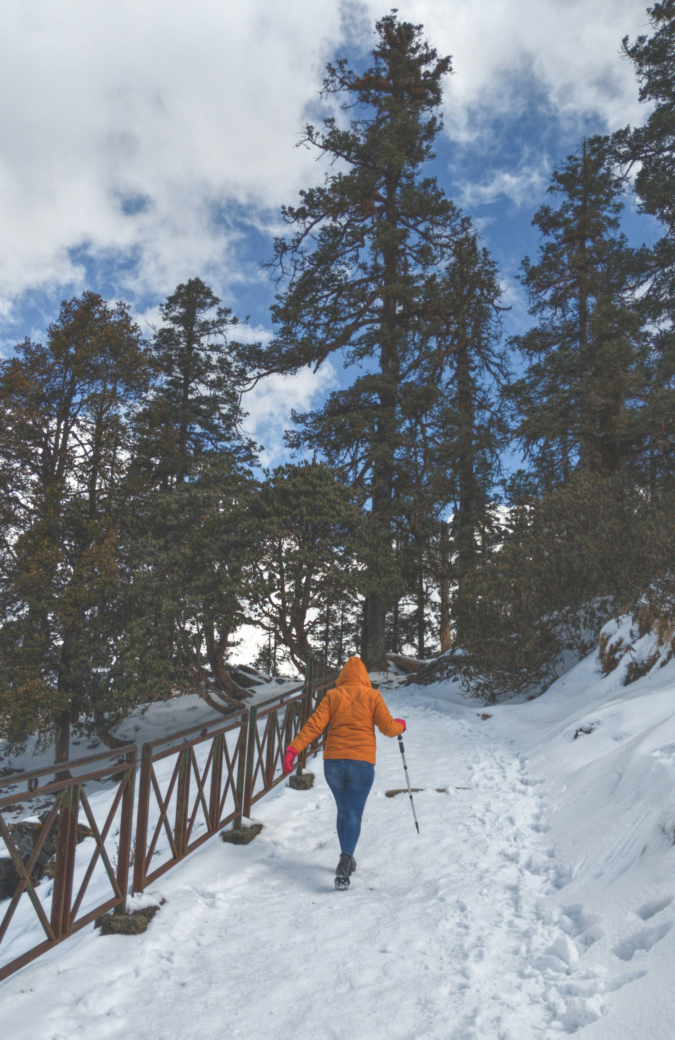 Hiker in an orange jacket traverses a snowy path bordered by trees and a wooden railing, under a partly cloudy sky.