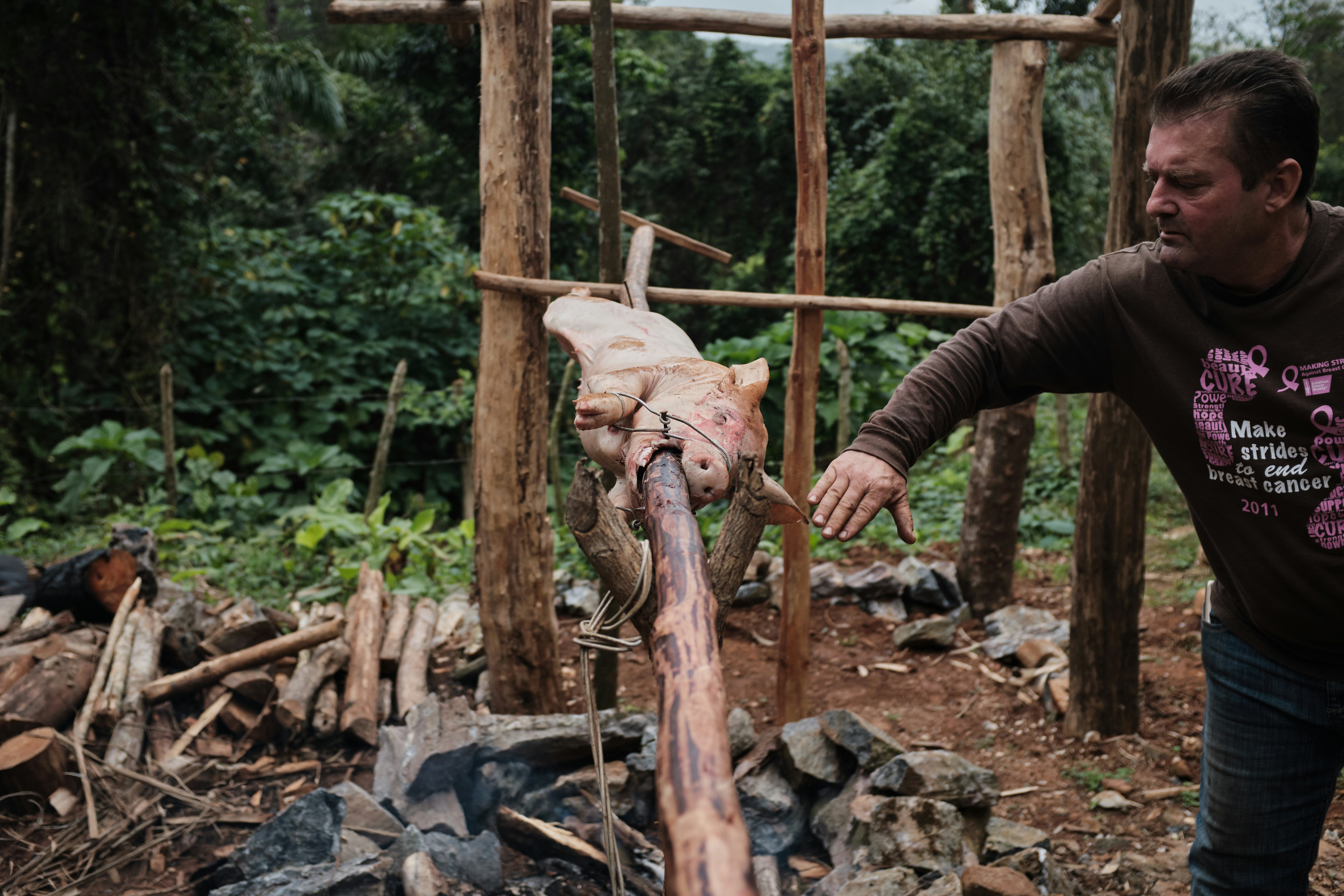 Pig Head on a Wooden Stake Amid Timber Scaffolding in a Forest Workshop