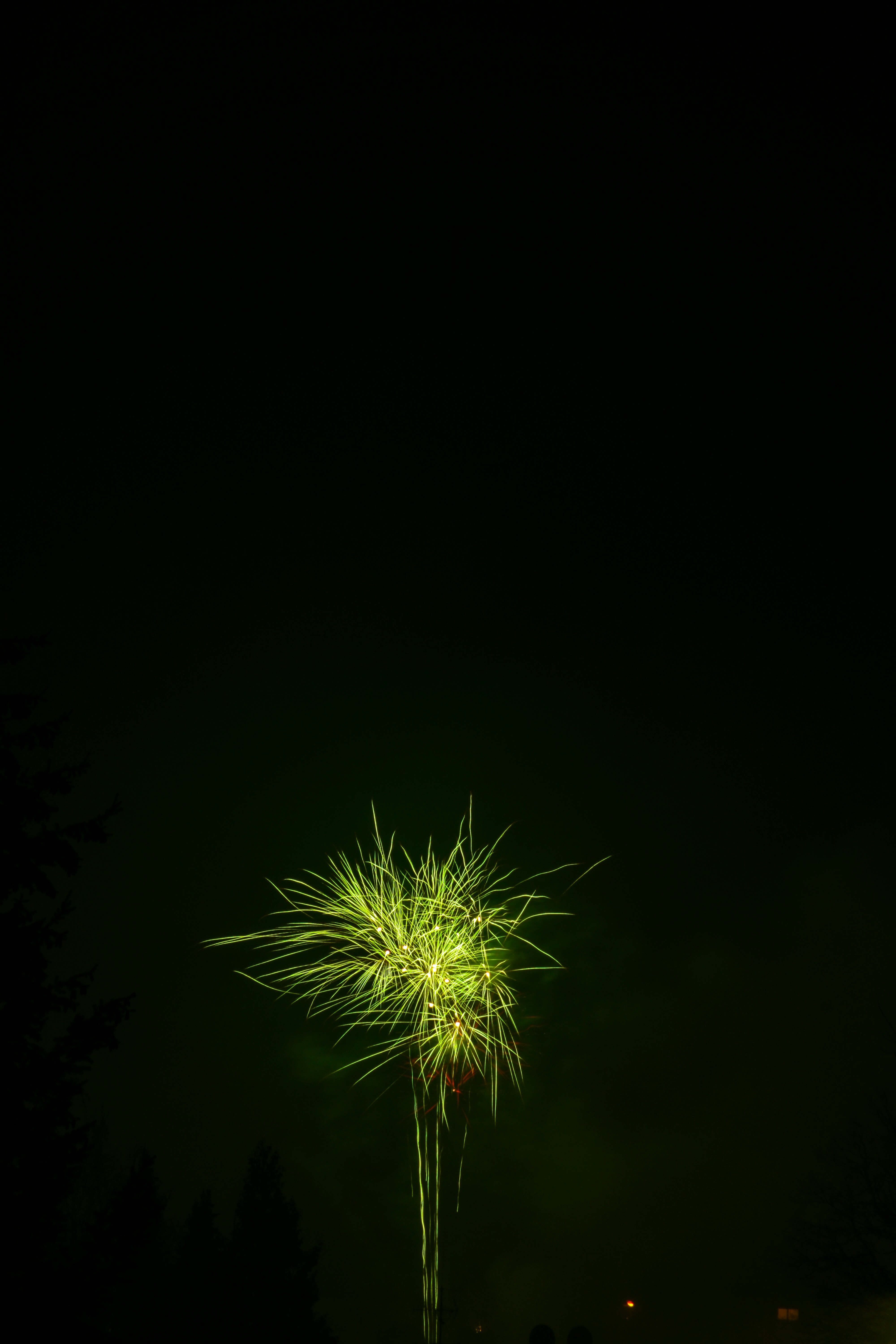 Emerald Firework Bloom Over a Quiet Forest Night