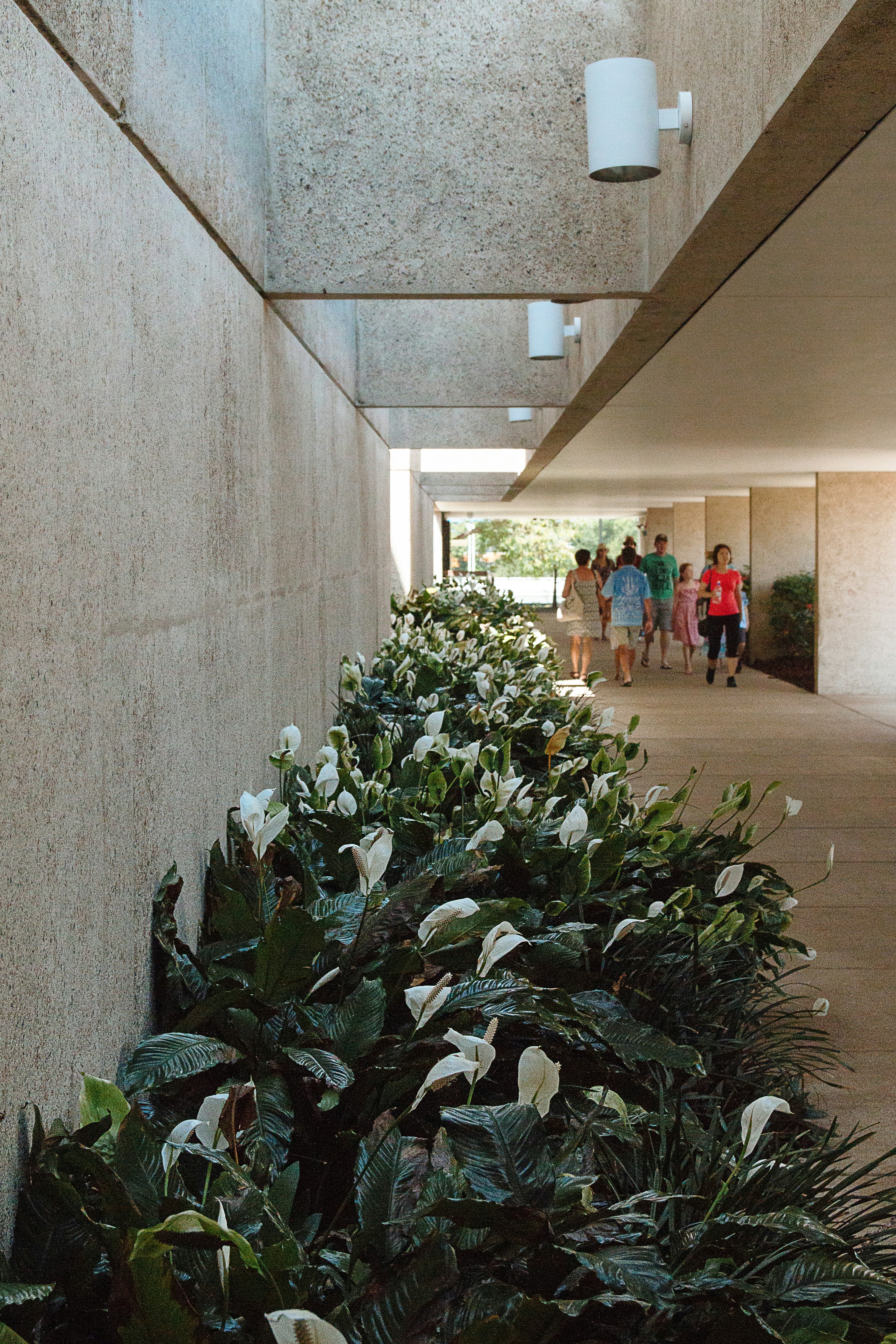 Photo by Eddie Hsu with Canon EOS 70D