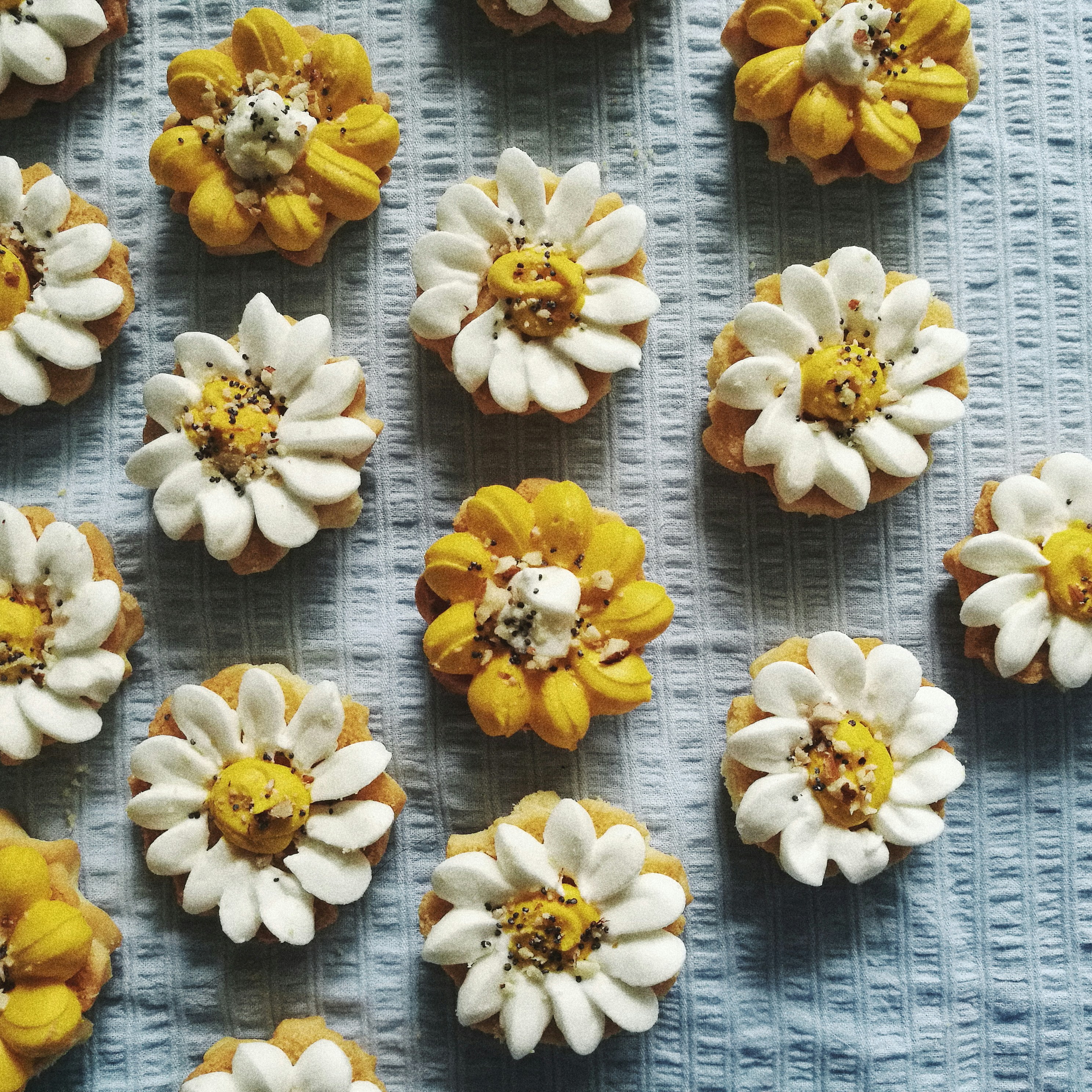 Close-up of white- and yellow-daisy cookies arranged in a neat grid on a textured blue linen background.