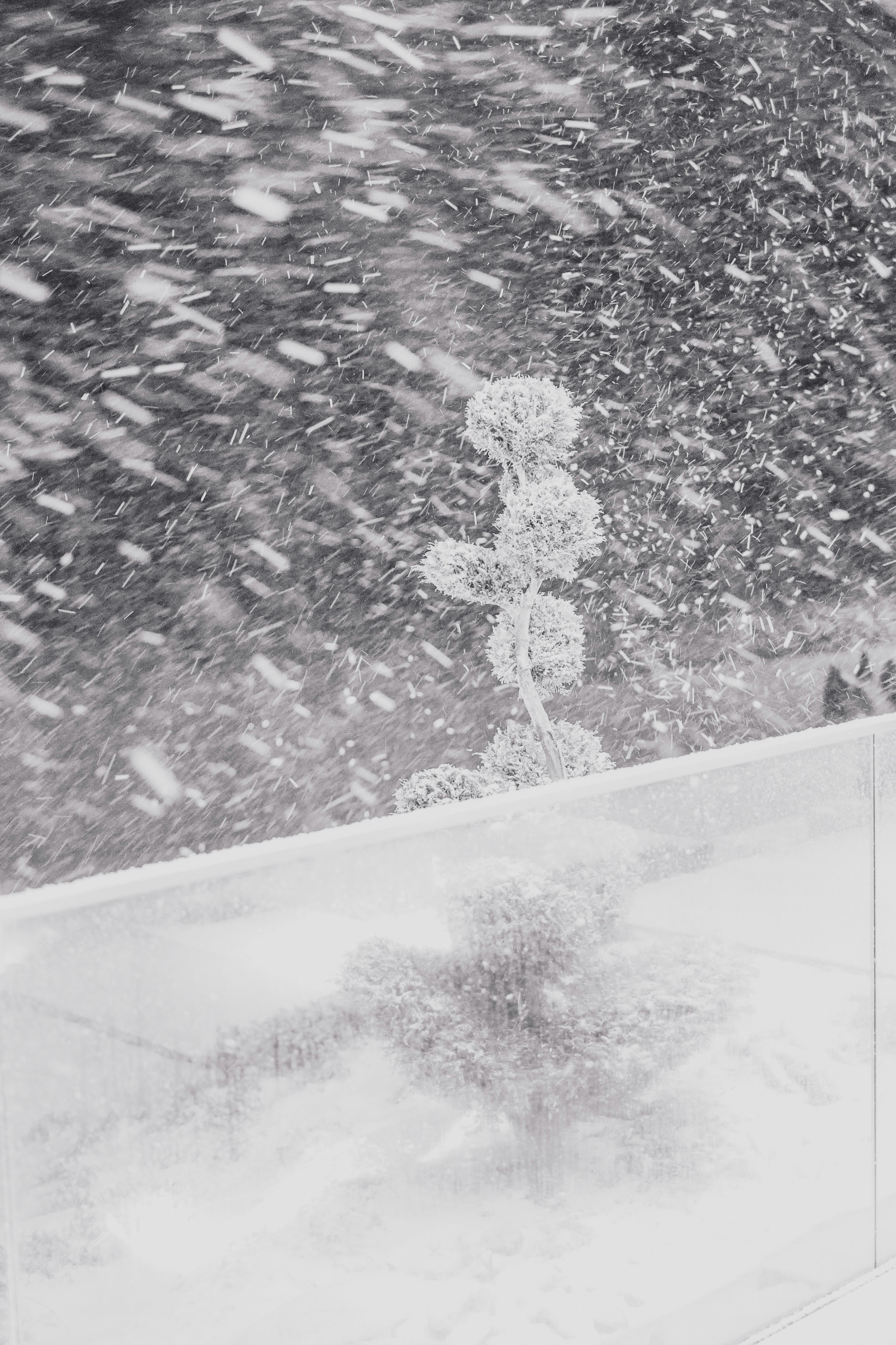 Blizzard Pictures | Download Free Images on Unsplash