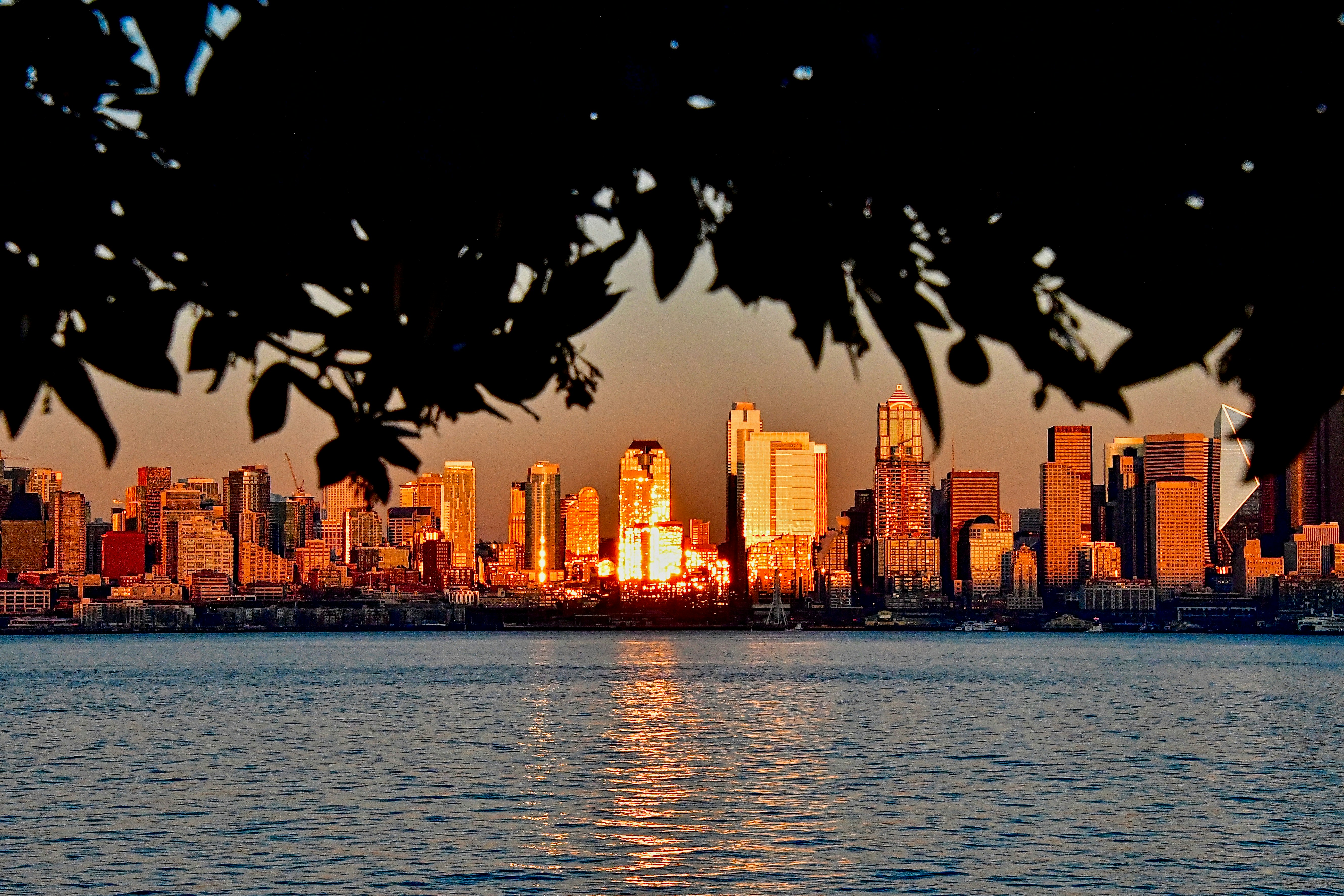 High-rise buildings near body of water photo – Free City Image on Unsplash