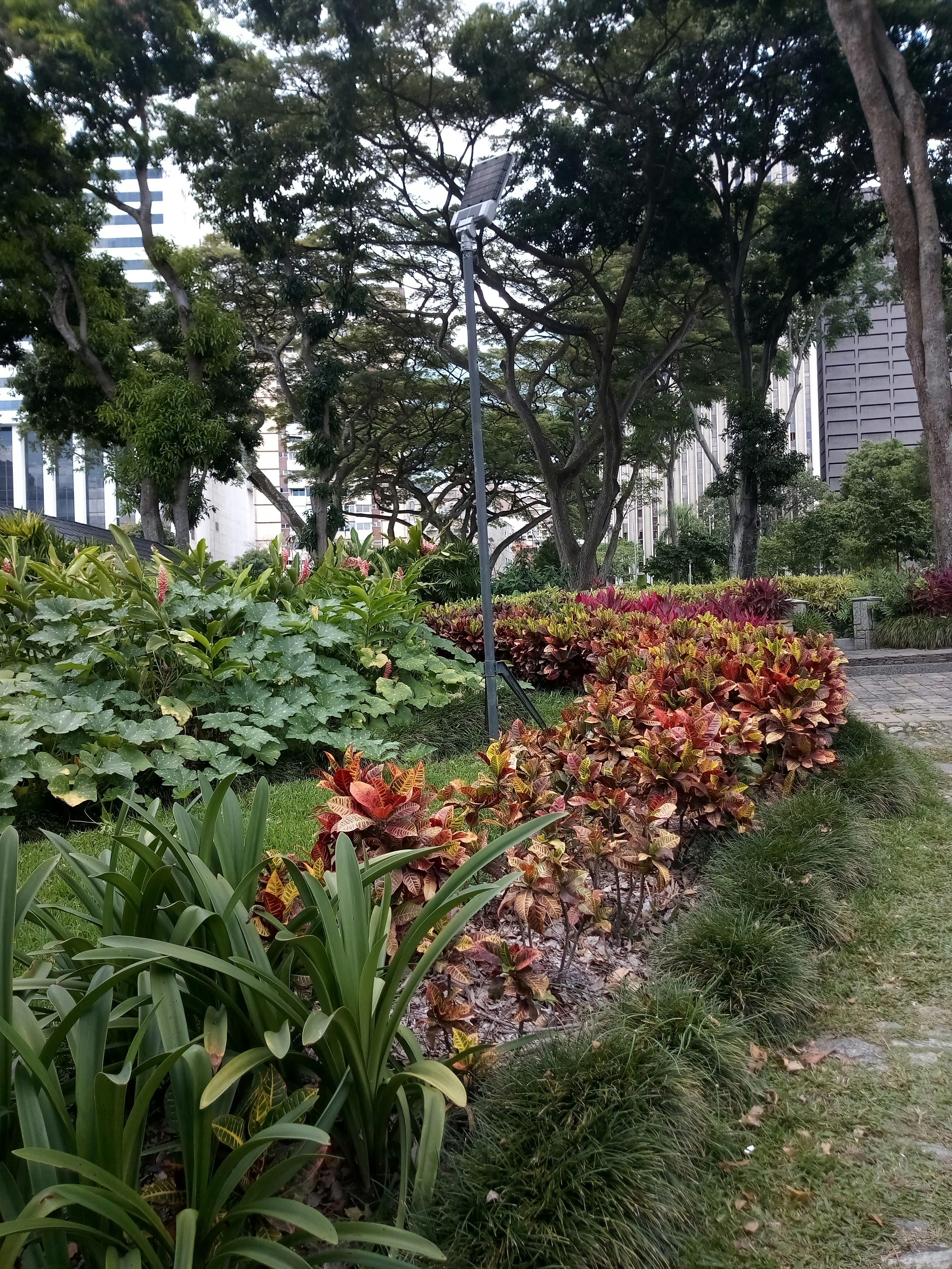 Ornamental Plants and Aesthetic Beauty: Enhancing Landscapes and ...