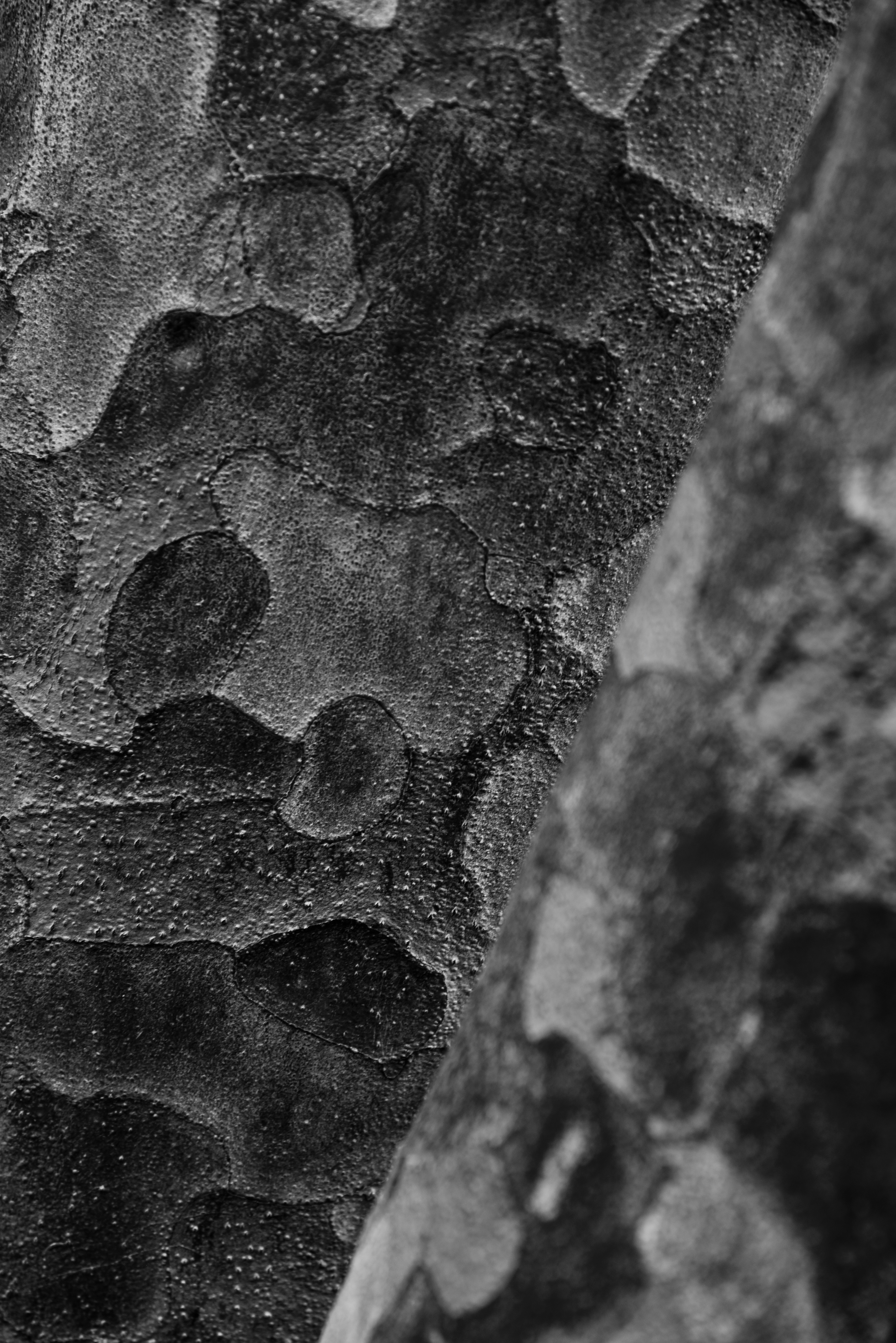 Grayscale stone surface photo – Free Grey Image on Unsplash