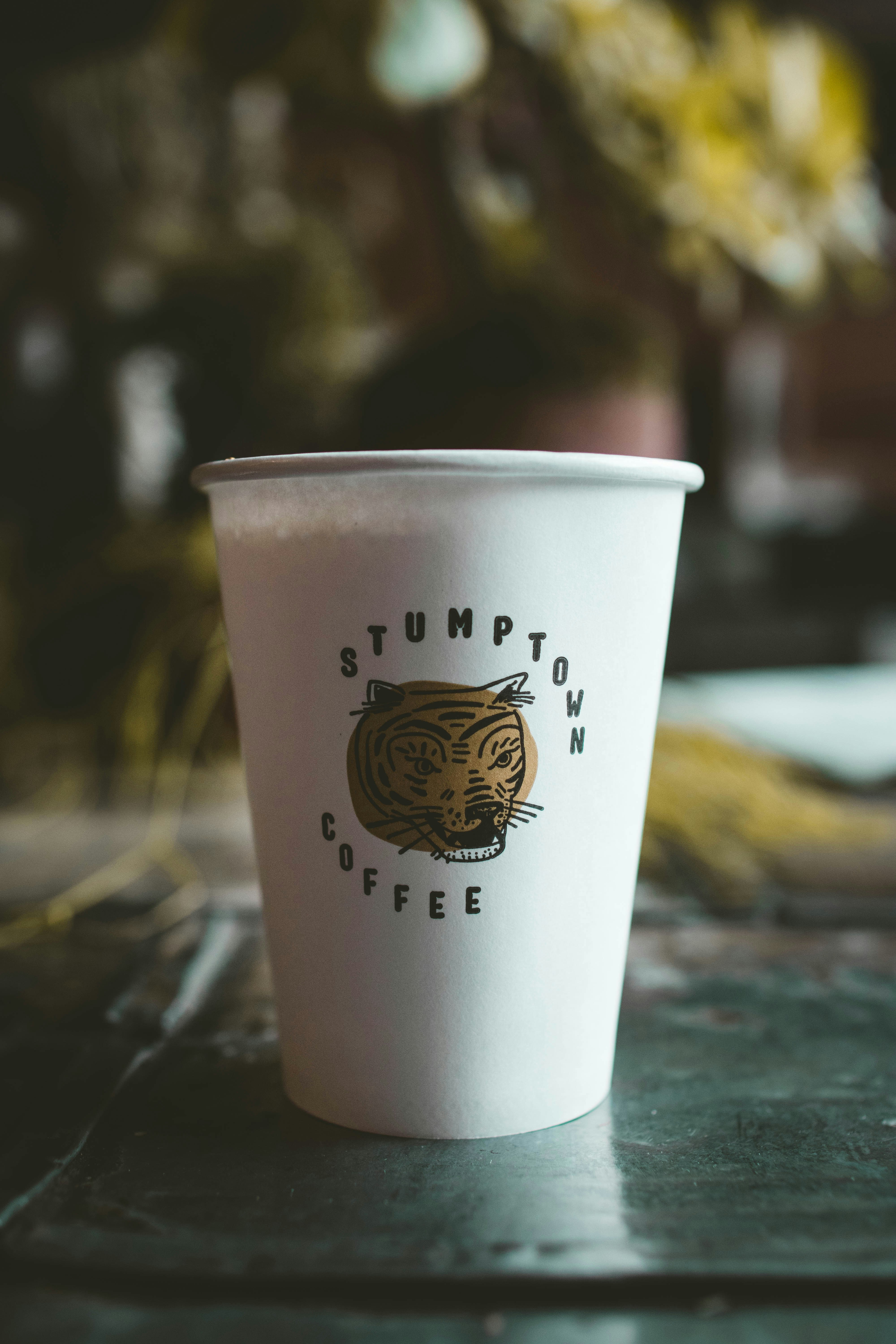 Stumptown Coffee Cup Framed by Soft Cafe Glow