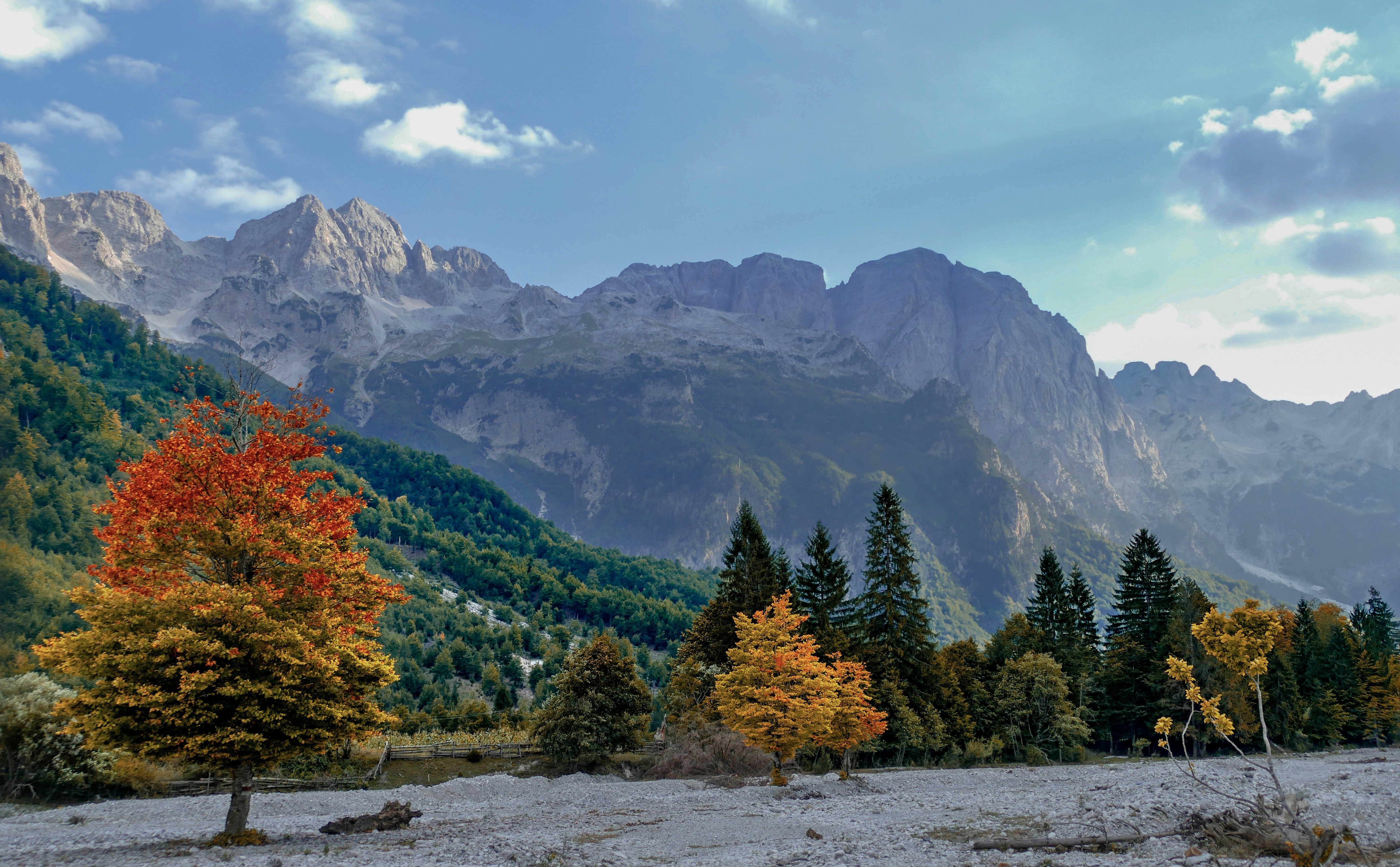 Crimson Sentinel Beneath the Alpine Ridge