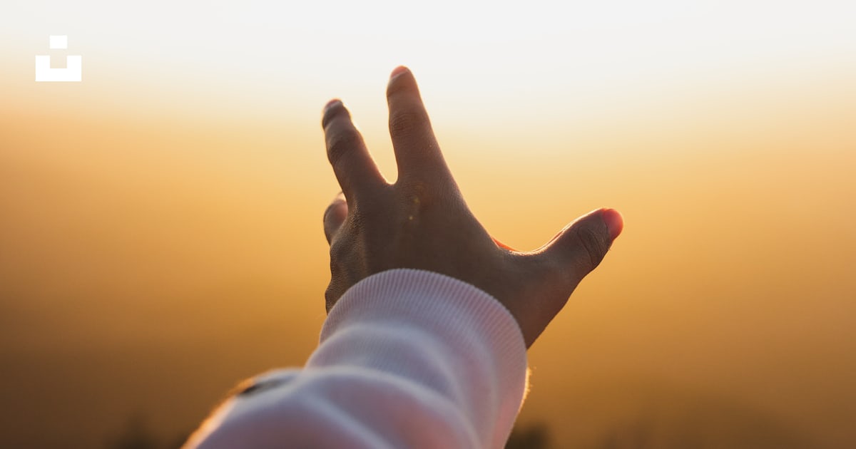 Person's left hand catching sunlught photo – Free Sunset Image on Unsplash Person's left hand catching sunlught photo – Free Sunset Image on Unsplash