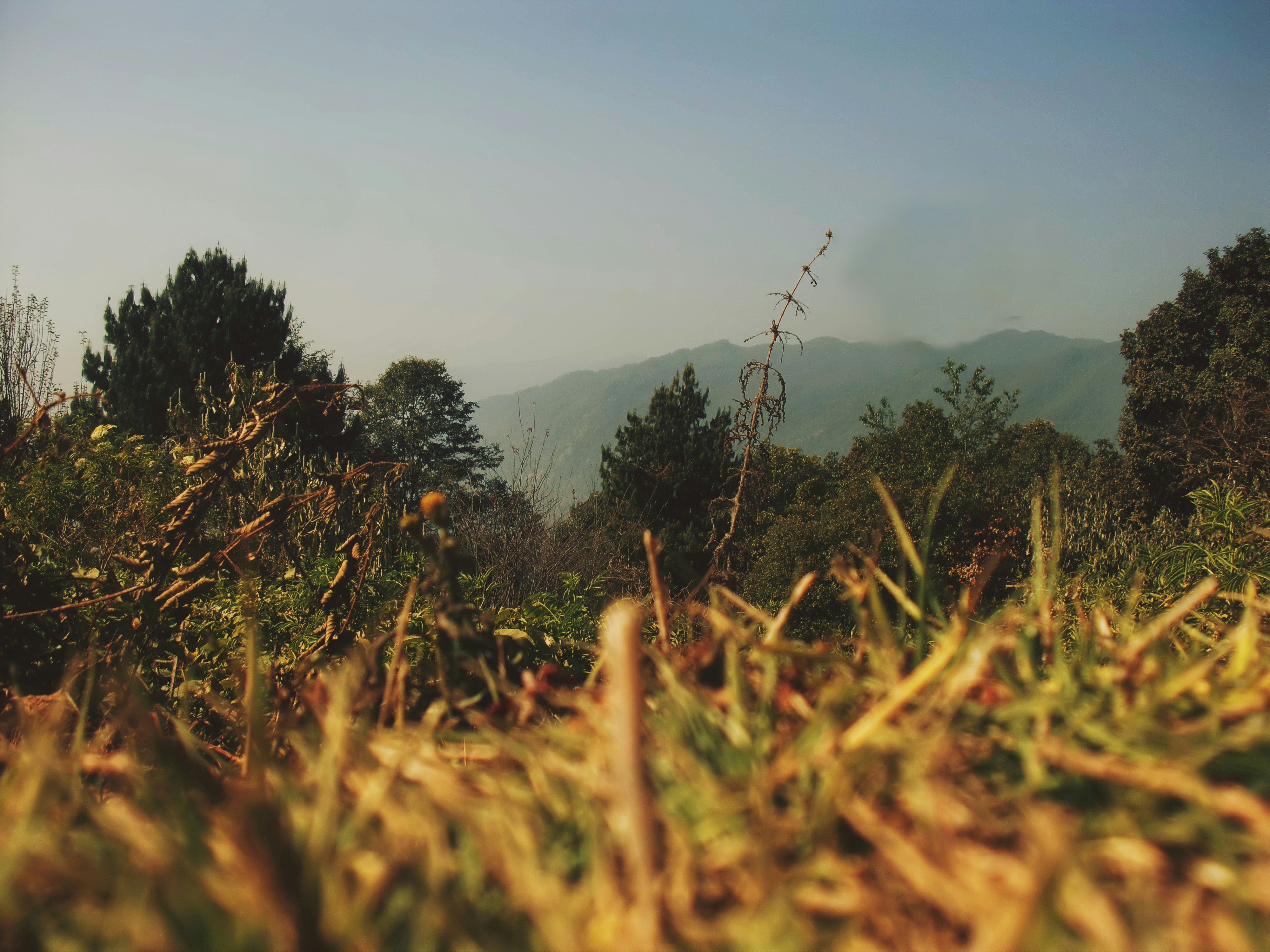 Chris Rana (@chris_rana07) | Unsplash Photo Community