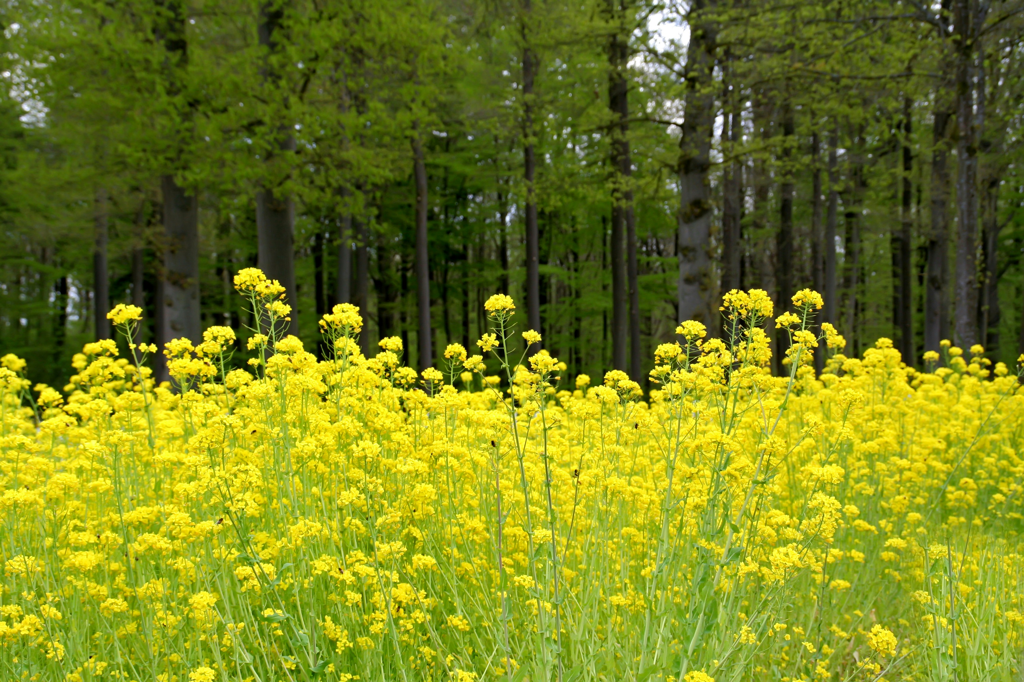 Ed van duijn (@eddyvanduijn) | Comunidad de fotos de Unsplash