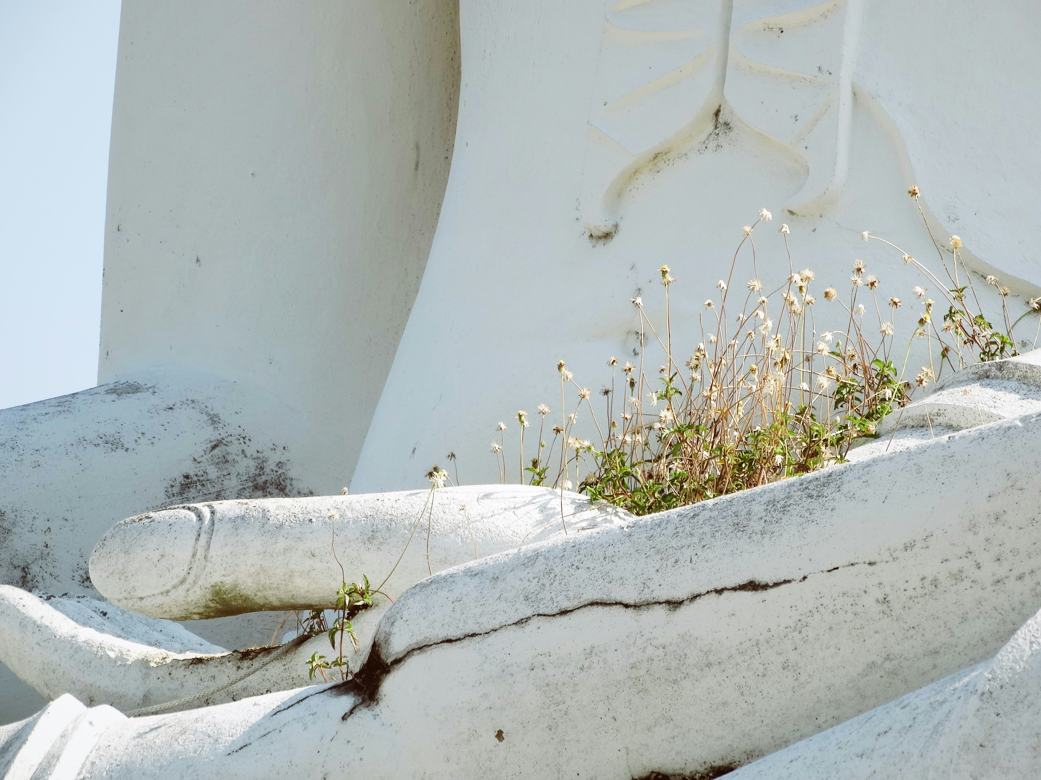 Close-up of a weathered statue's hand, adorned with wildflowers and grasses, symbolizing nature reclaiming its space.