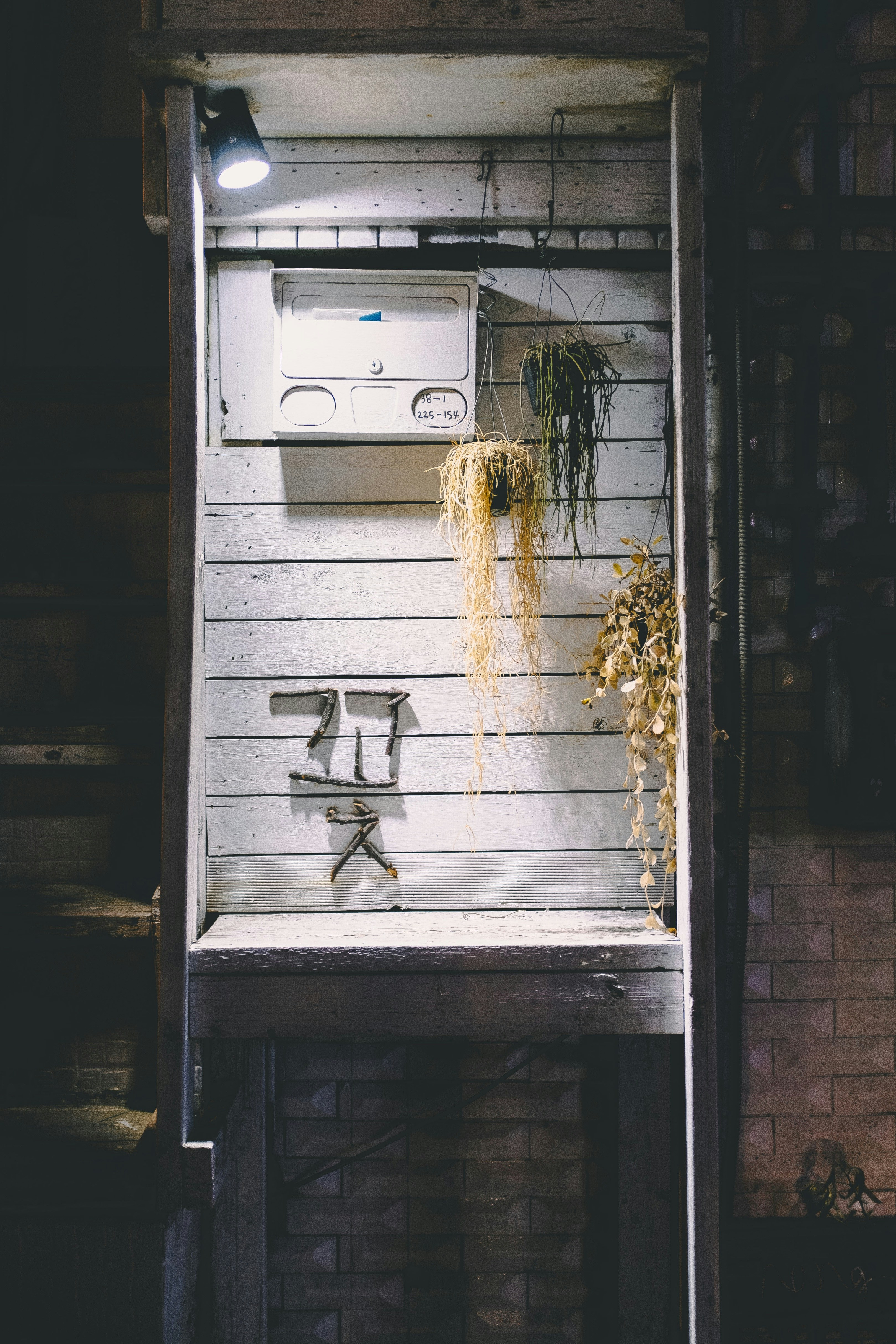 Indoor Fruit Fly Control: 7 Proven Tricks to Banish Flies Fast 🪰 (2025 ...